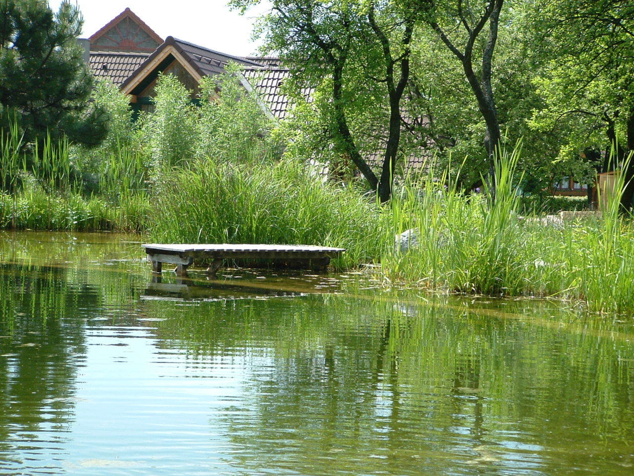 Eine Woche Sommer-Traum "BEWUSST LEBEN!" - Horn