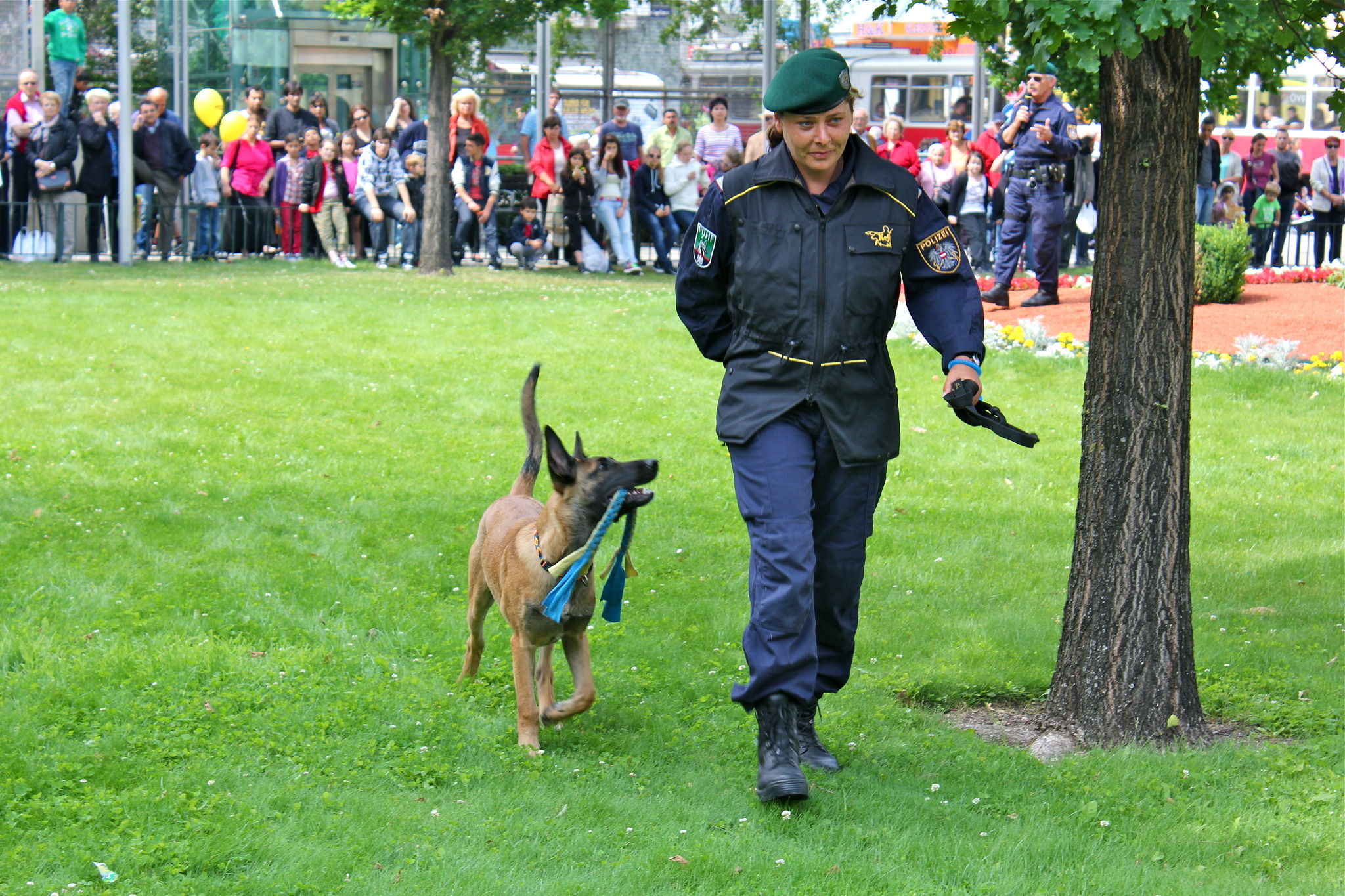 Die Polizeihunde: Publikumslieblinge - Simmering