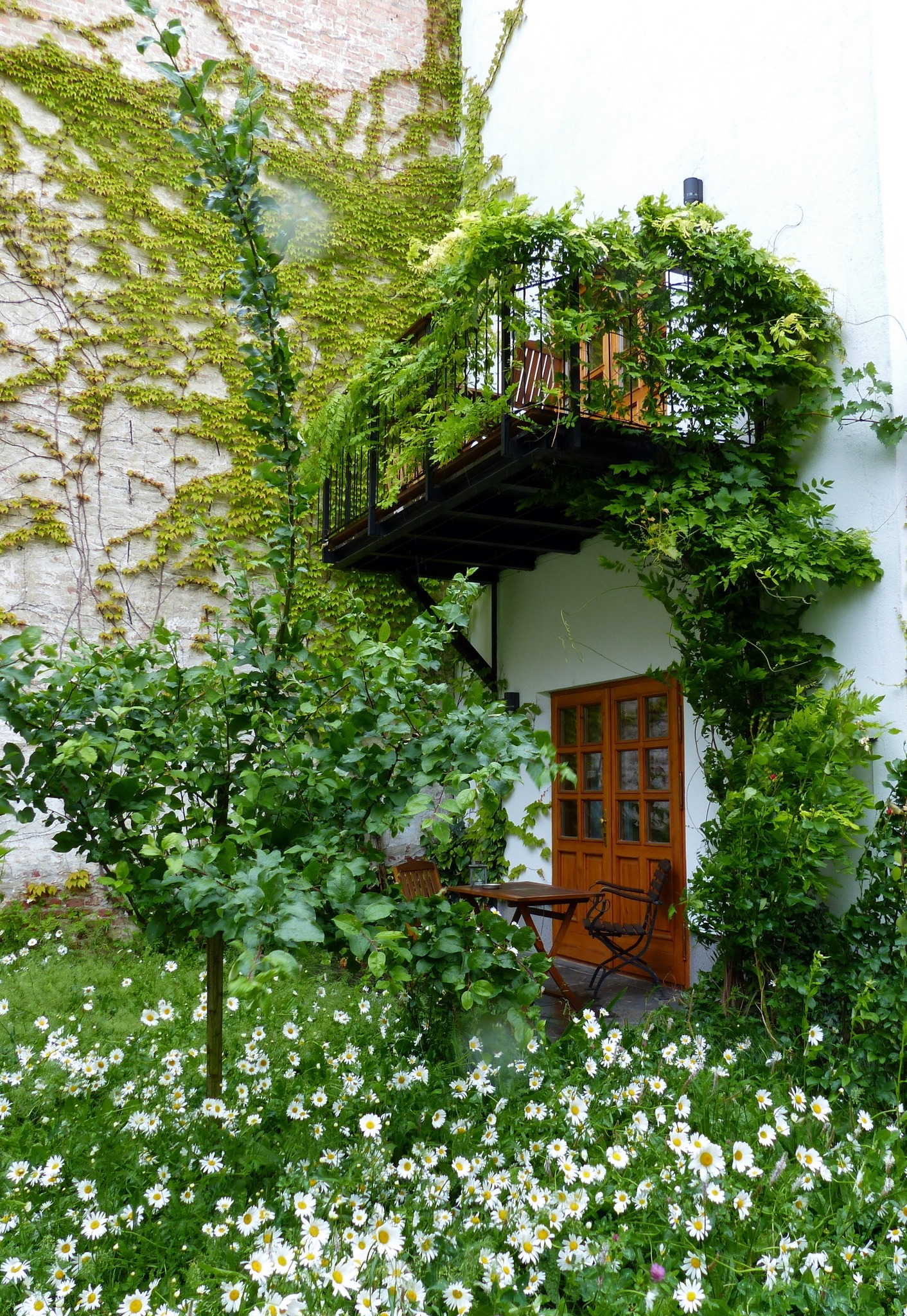 romantischer Hinterhof - Neubau