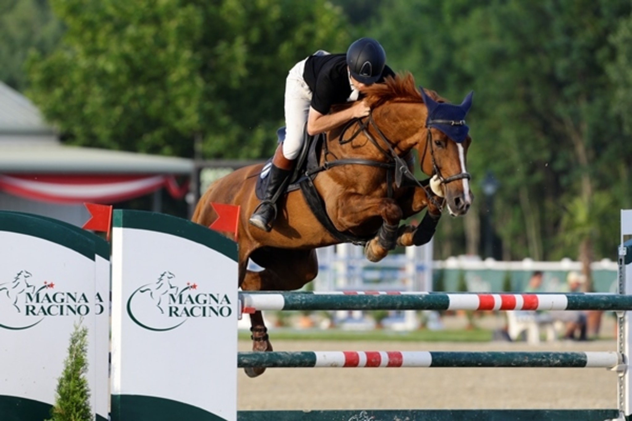 Magna Racino - nationales Springturnier - Der strahlend schöne zweite ...