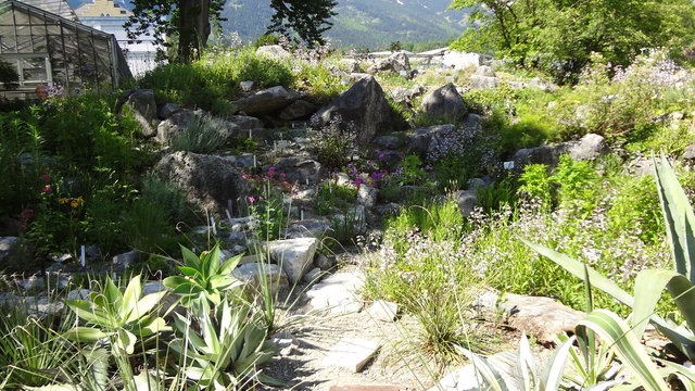 Jubiläum 100 Jahre Institut für Botanik im Botanischen Garten Innsbruck ...