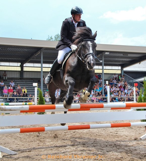 Österreichische Meisterschaft der Noriker & Haflinger Cup im Springen ...