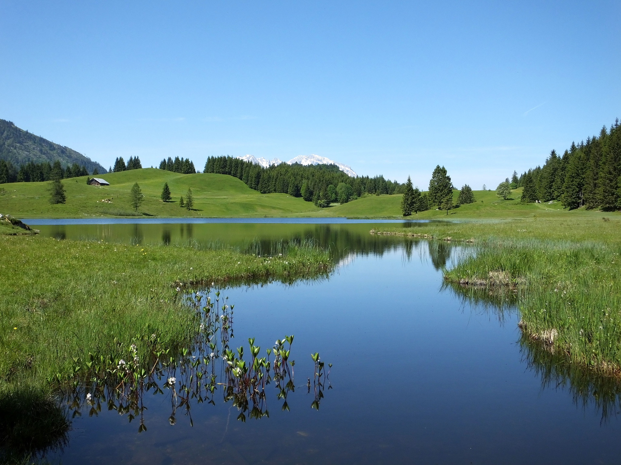 Ein schöner Morgen am Seewaldsee - Tennengau
