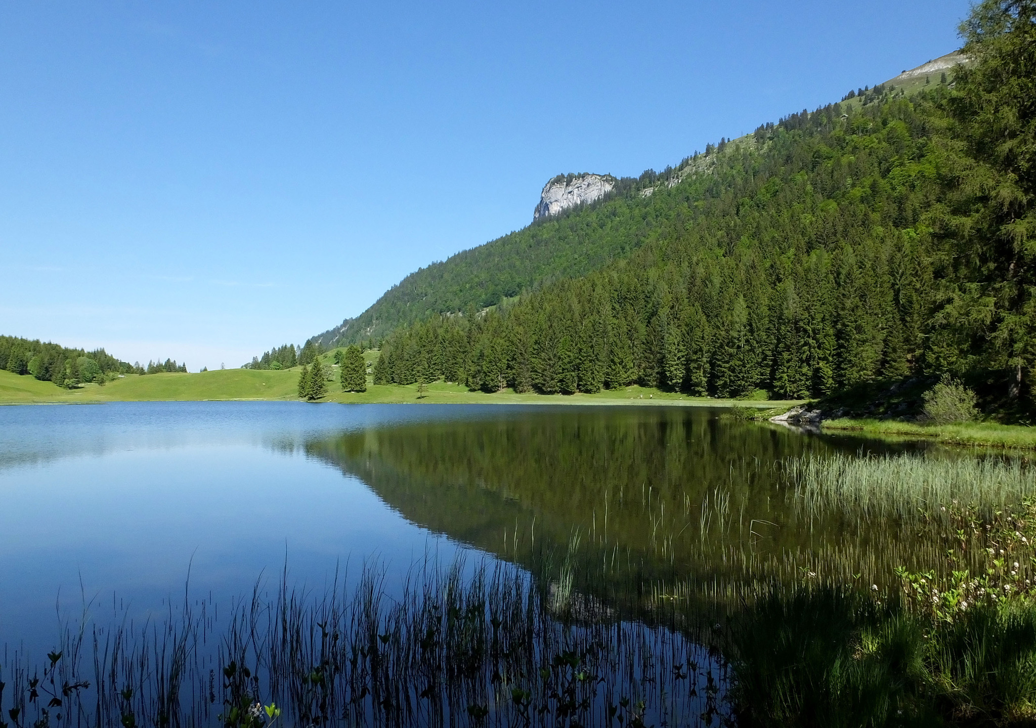 Seewaldsee mit Gitschenwand - Tennengau