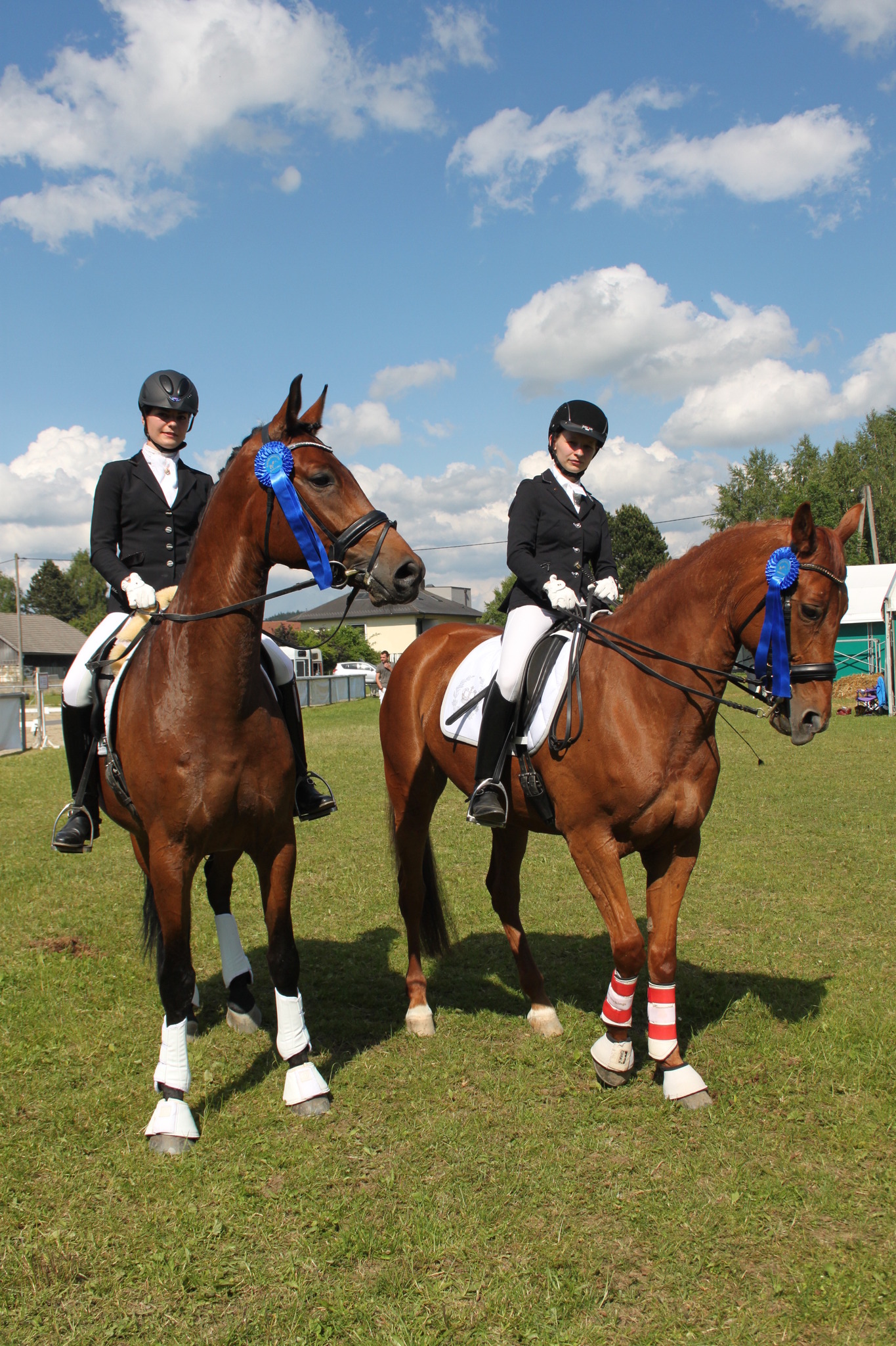 Reiterinnen auf Erfolgskurs - Schärding