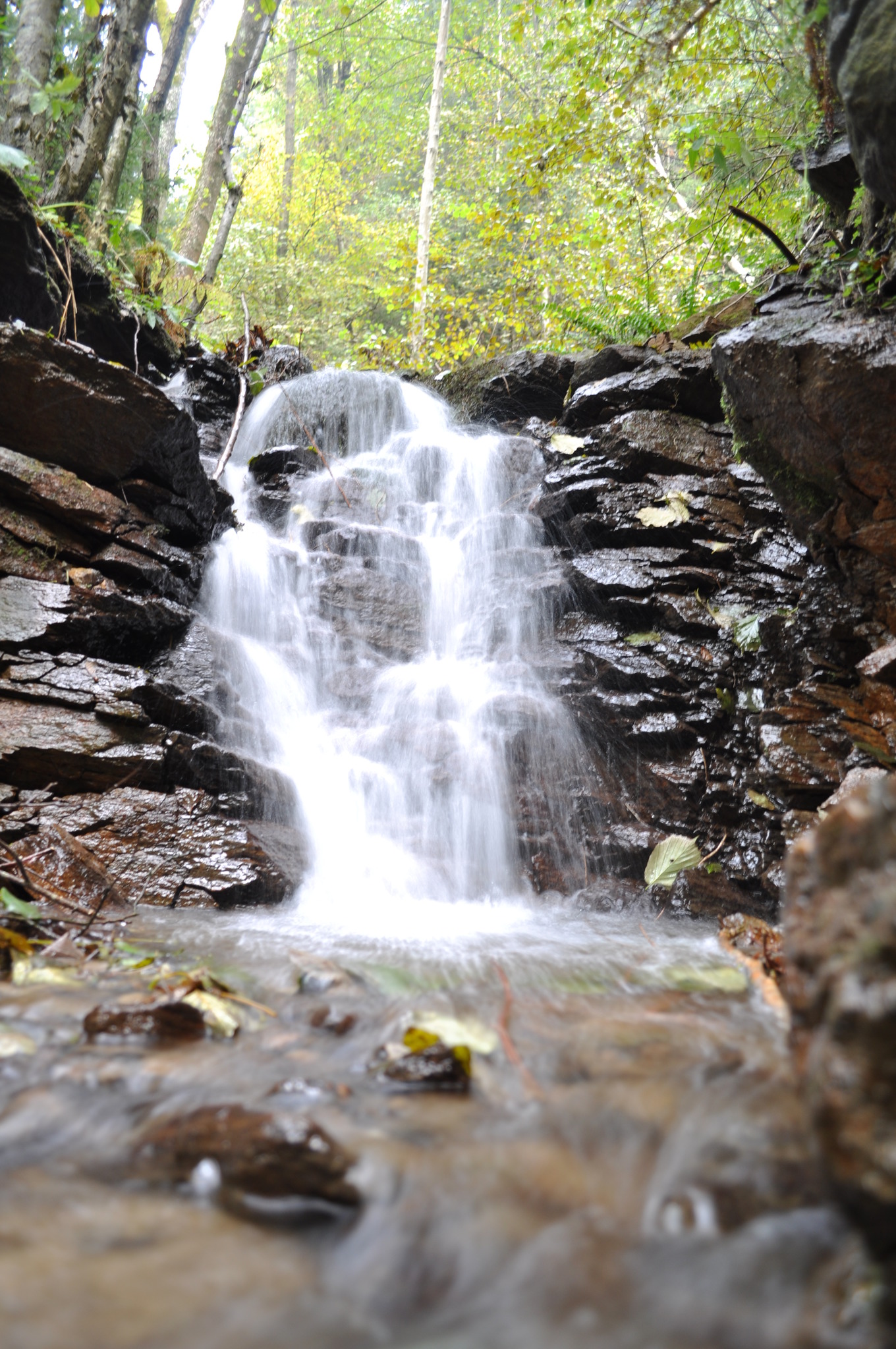 Kleiner Wasserfall im Wald!! - Lavanttal