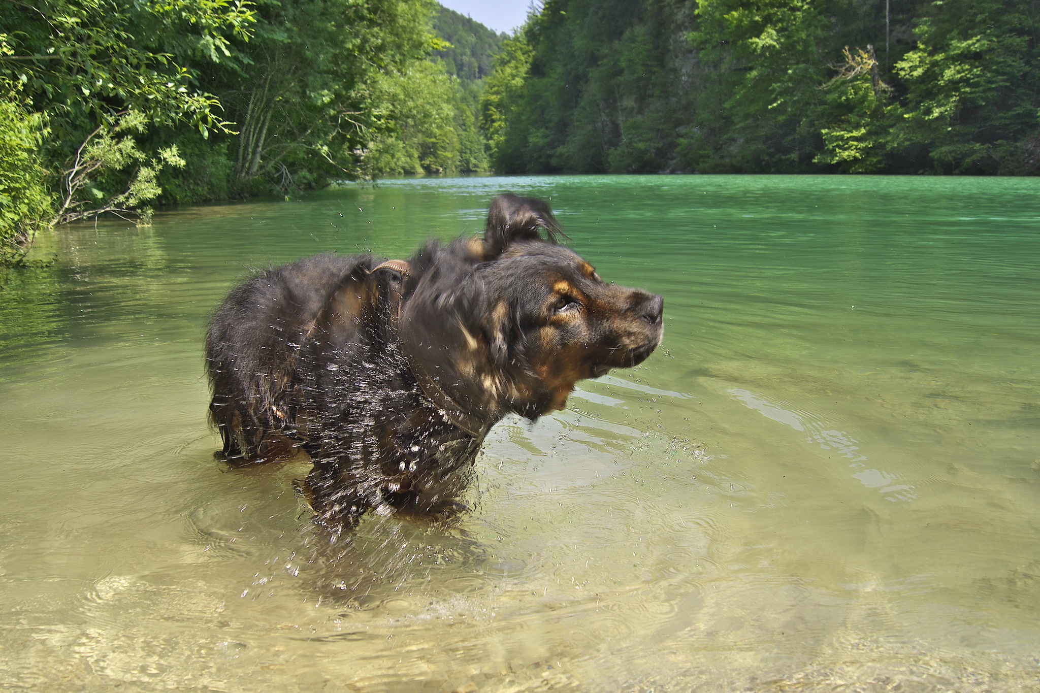 Die Salza ist einfach herrlich erfrischend.....! - Liezen