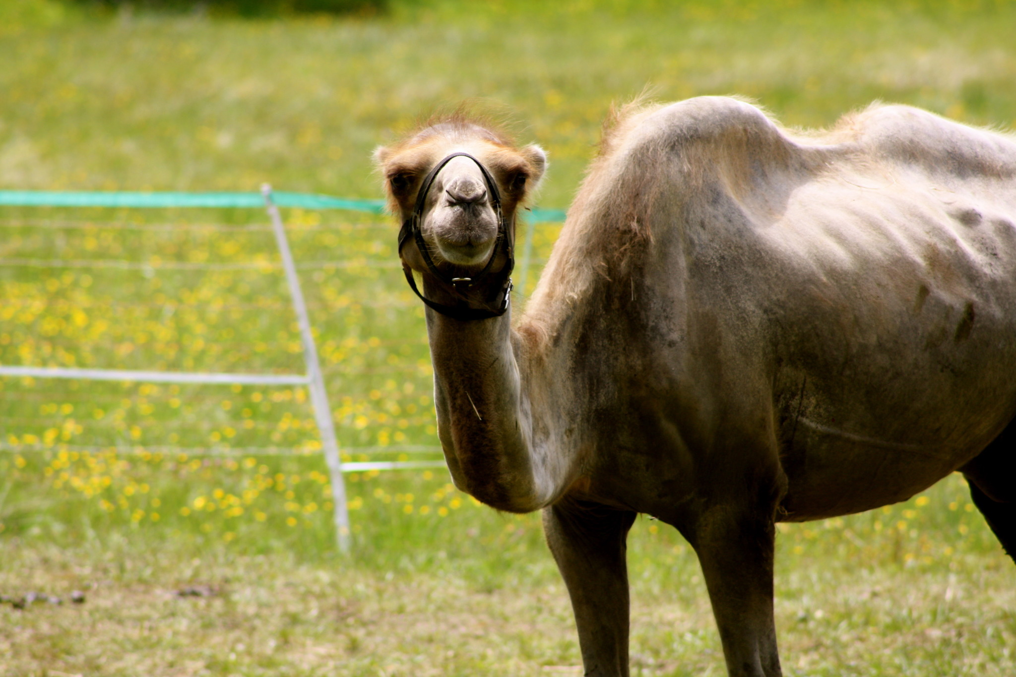 Hallo erstmal.... - Stubai-Wipptal