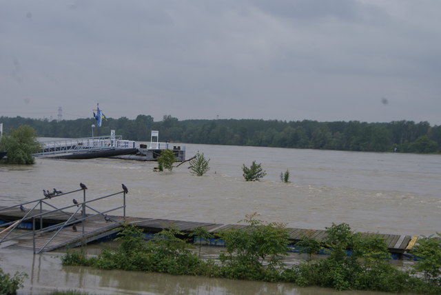 Hochwasser - Liesing
