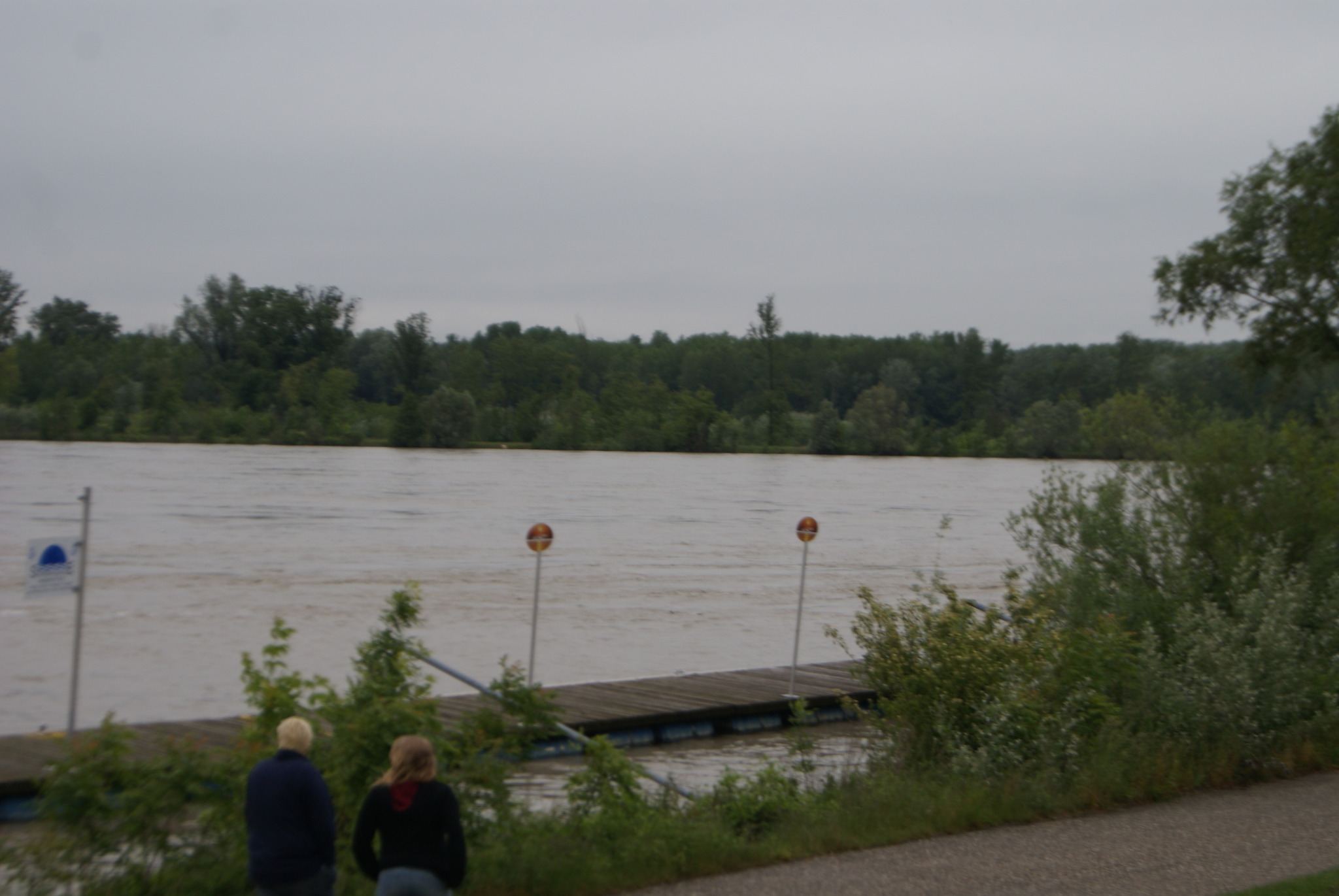 Hochwasser - Liesing
