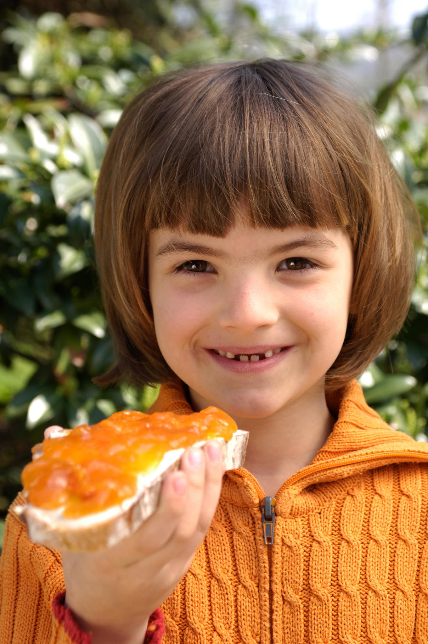 Die Marille hat wieder Saison - Melk