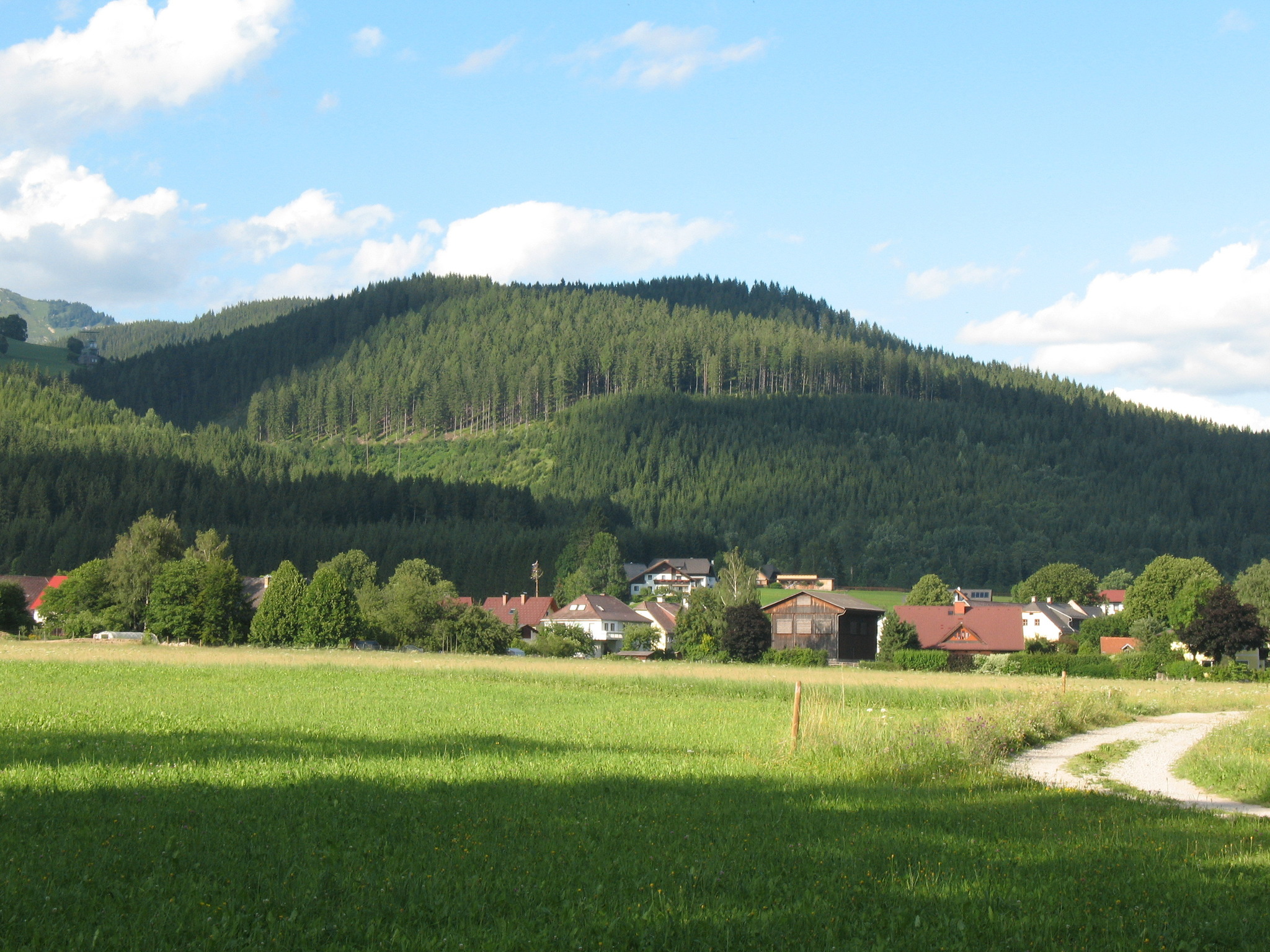 Spaziergang in Turnau 2008 - Murtal
