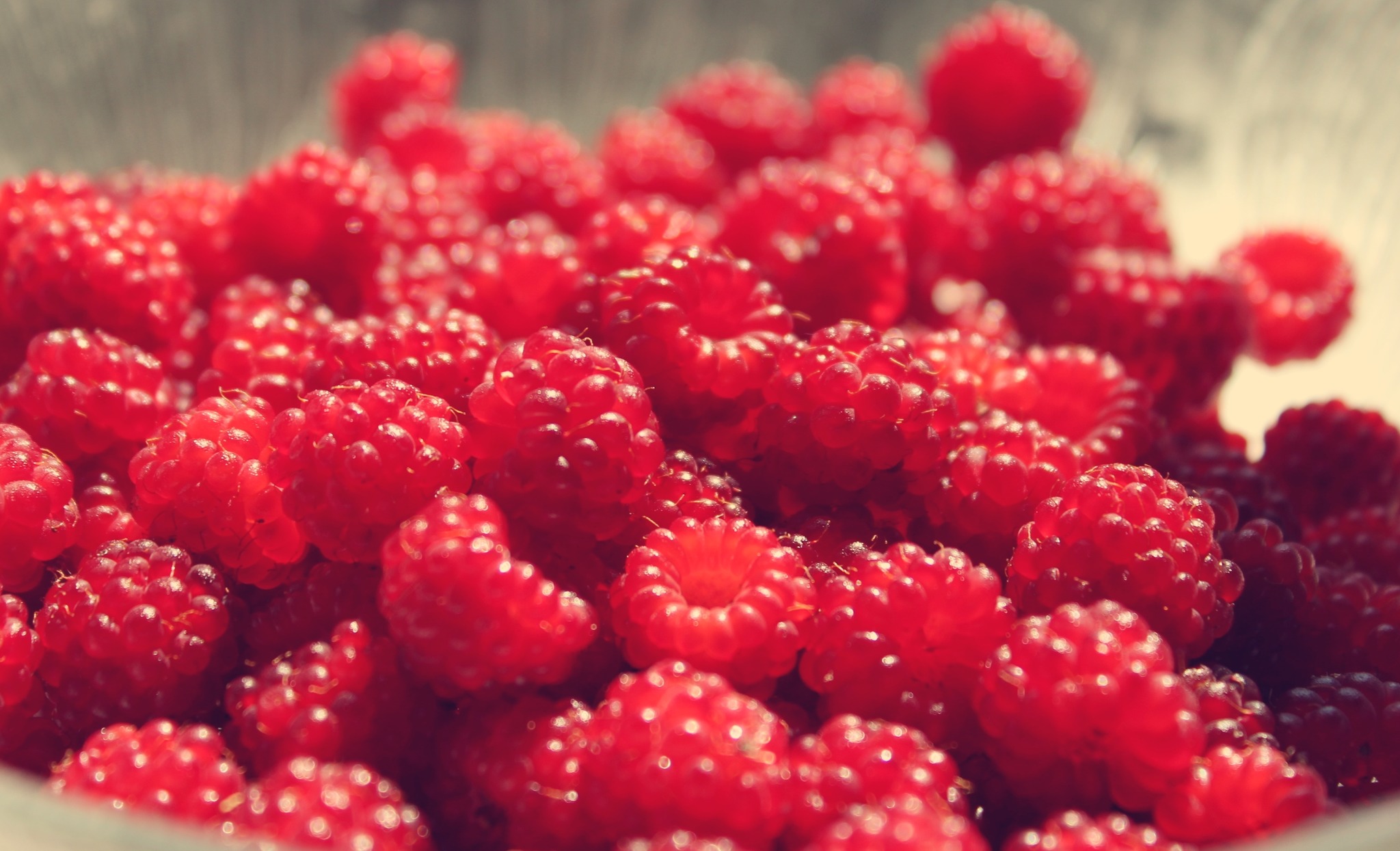 Japanische Weinbeeren - Graz-Umgebung