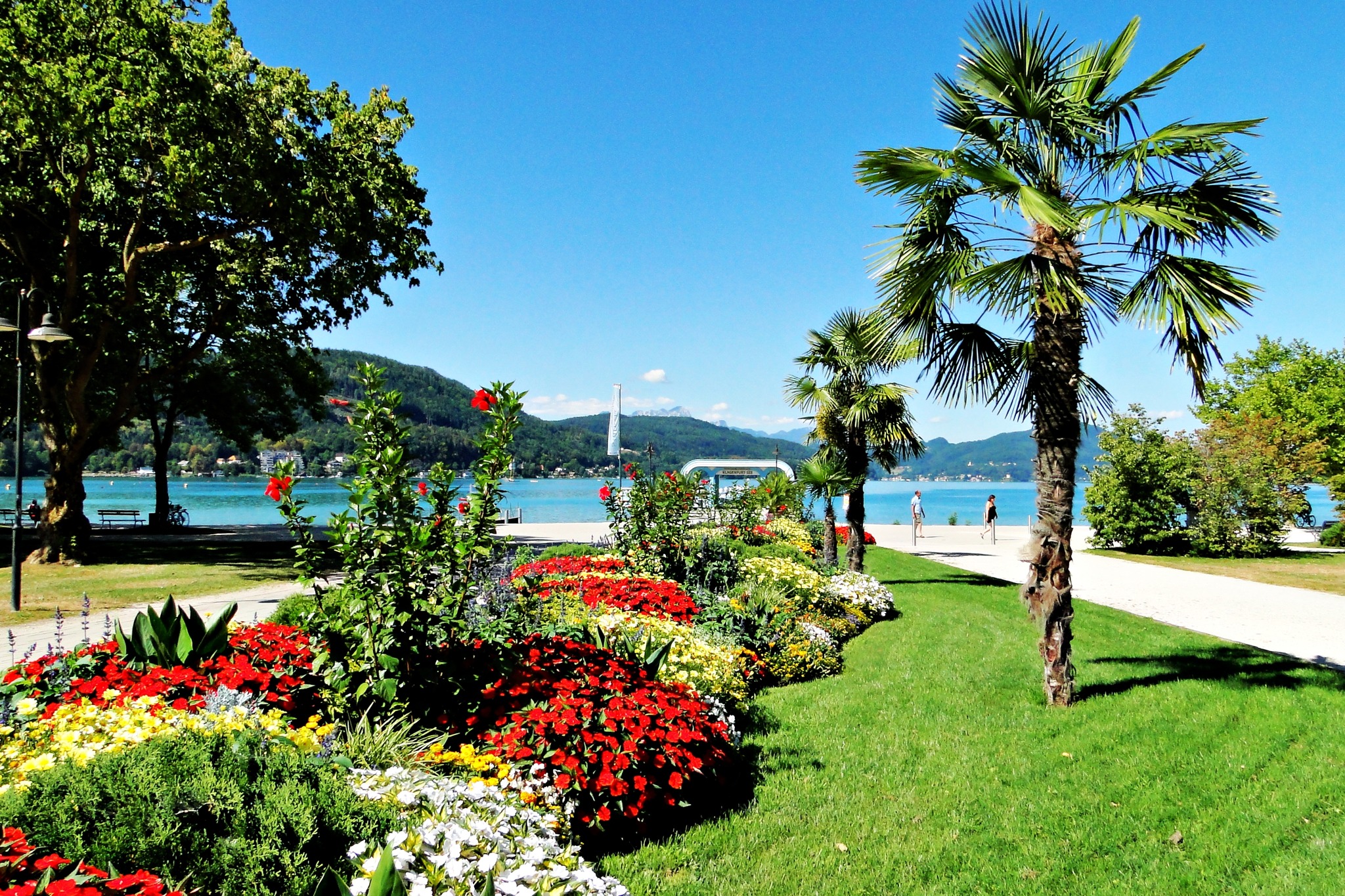 Blumen am Strand... - St. Veit