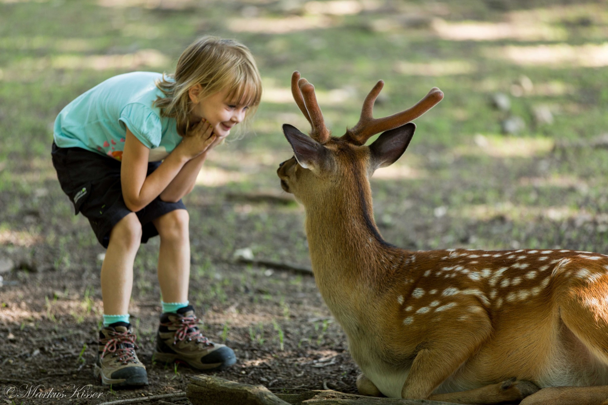 Töchterchen und ein junger Hirsch - Simmering
