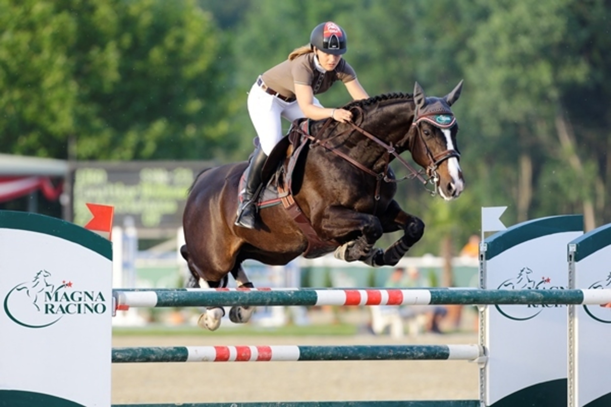 Magna Racino - Pferdesport/Springen - 300 Pferde kommen zum Probegalopp ...