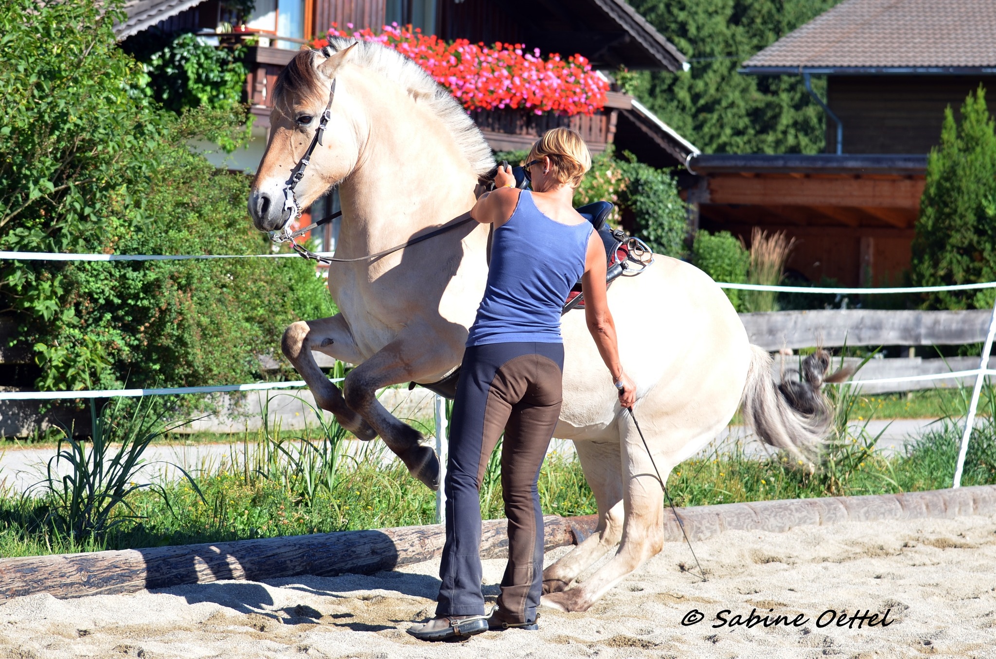 Ritterin ohne Rüstung - Flachgau