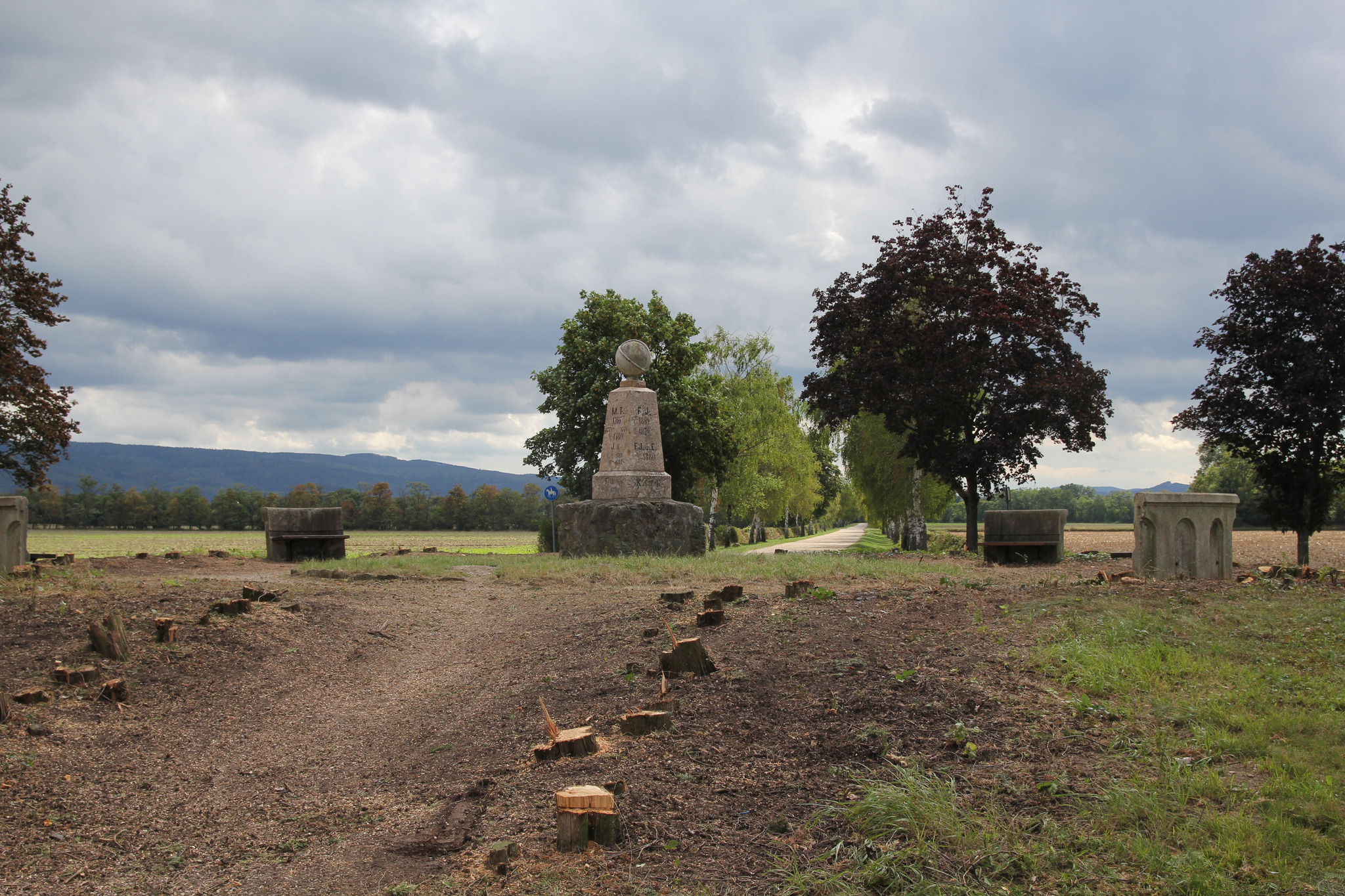 Rodung im MilAk-Park - Wiener Neustadt