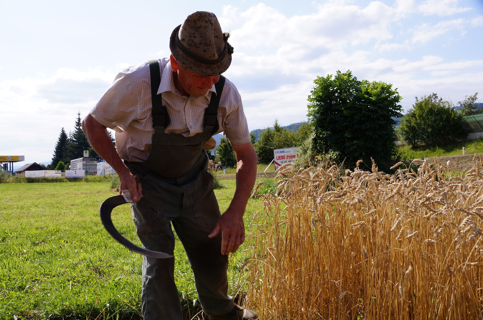 Die Mandl stehen wie Gold - Mürztal