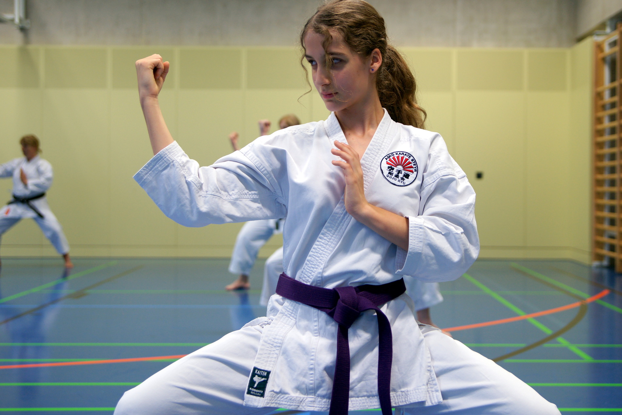 Karate Grundkurs – Fit durch das Leben - Steyr & Steyr Land Karate Grundkurs – Fit durch das Leben - Steyr & Steyr Land