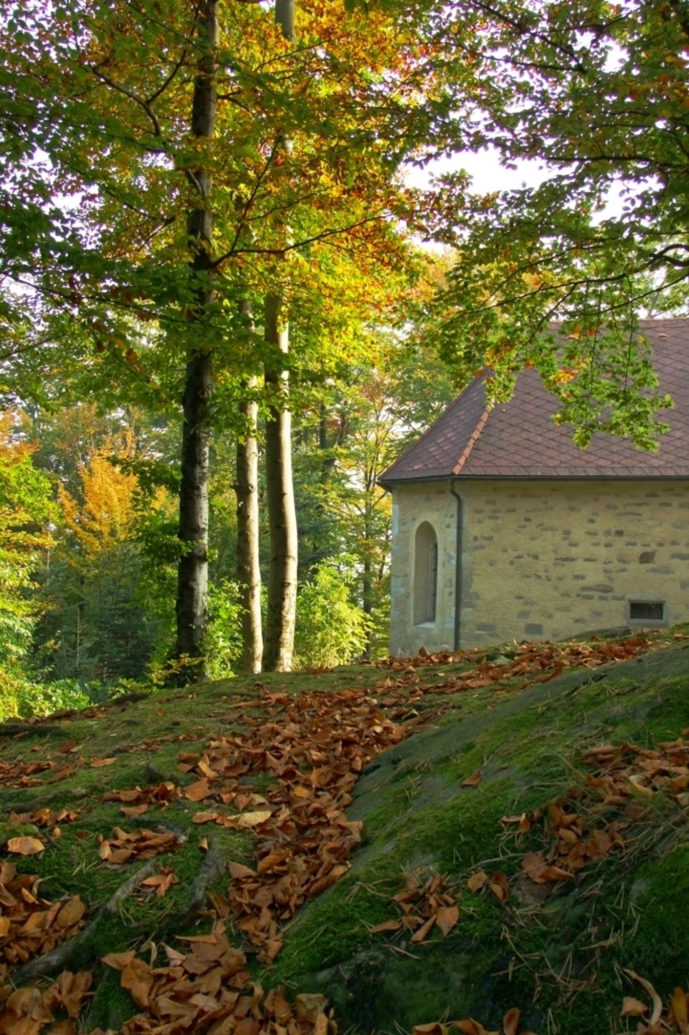 Hohenstein/ Engerwitzdorf - Linz