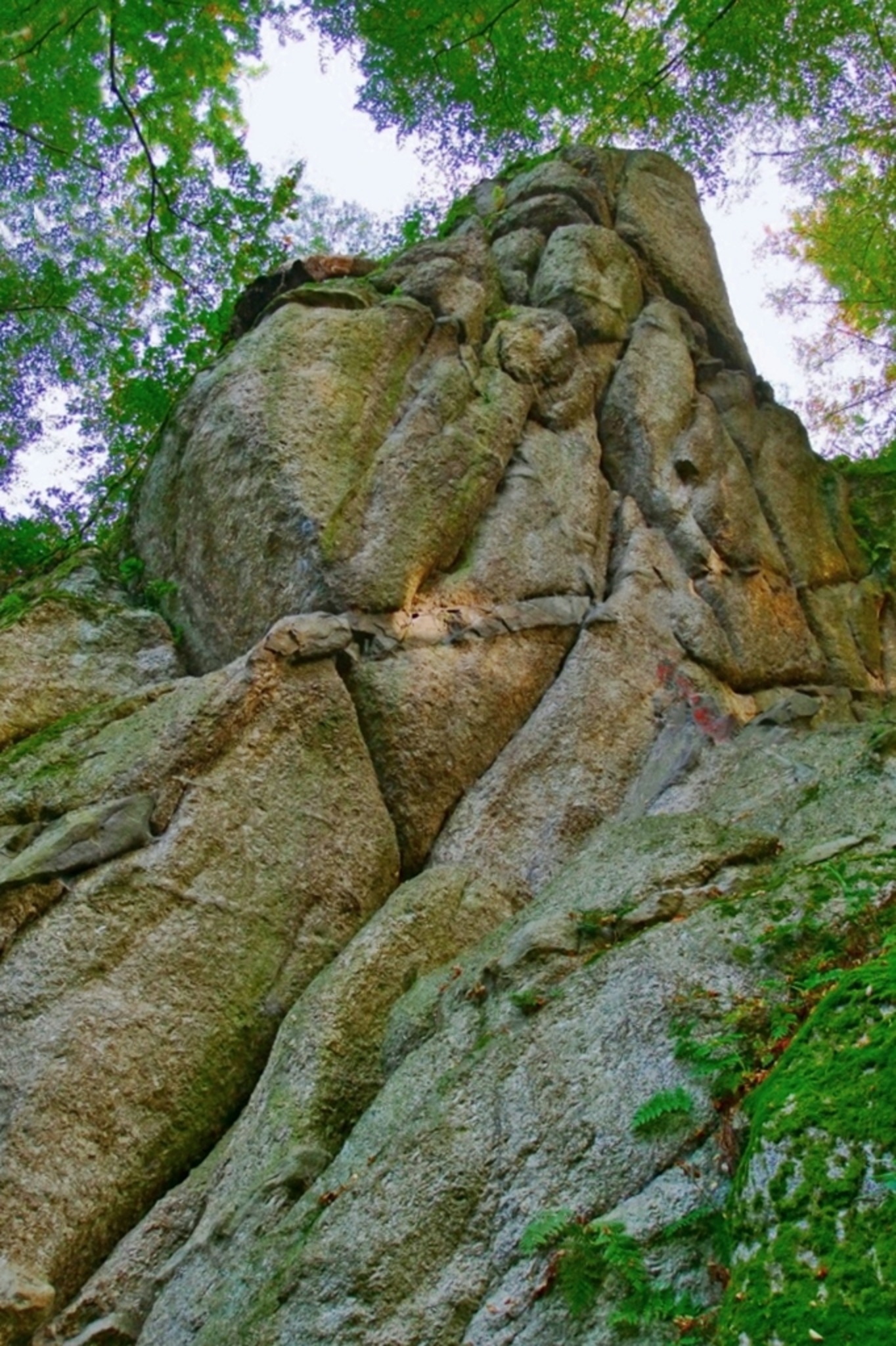 Hohenstein/ Engerwitzdorf - Linz