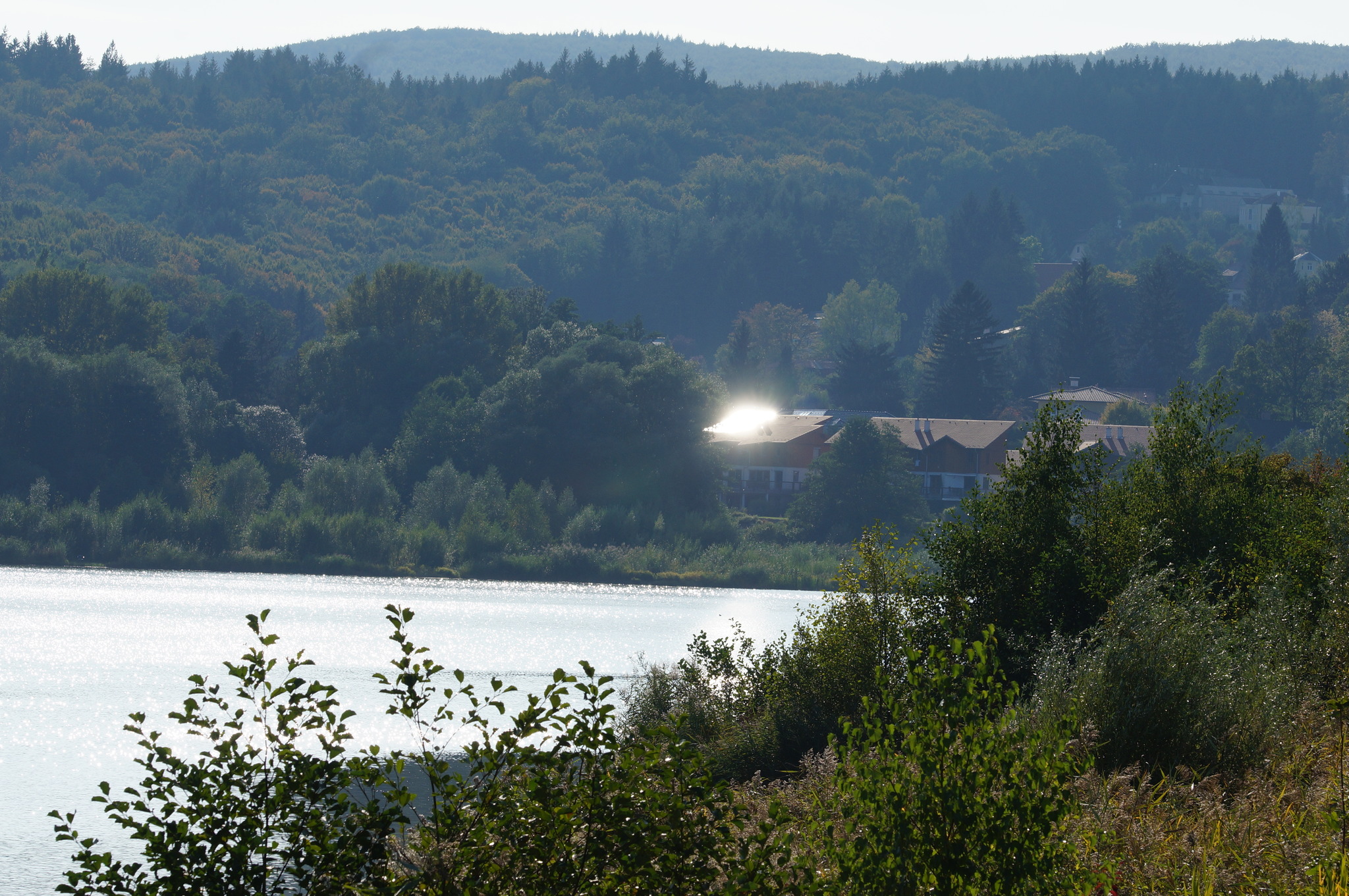 Wienerwaldsee - Liesing