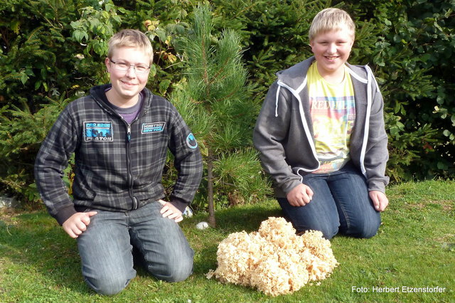 Den Fund ihres Lebens .... - Zwettl