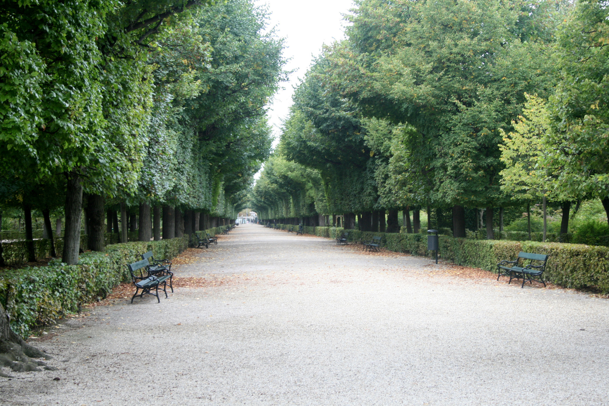 Allee-Schloss Schönbrunn - Klagenfurt