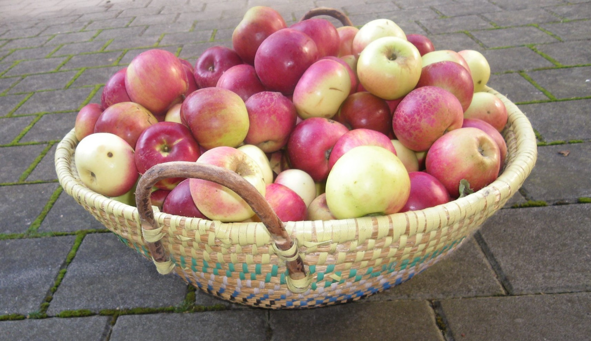 Ein Korb Äpfel - Jennersdorf