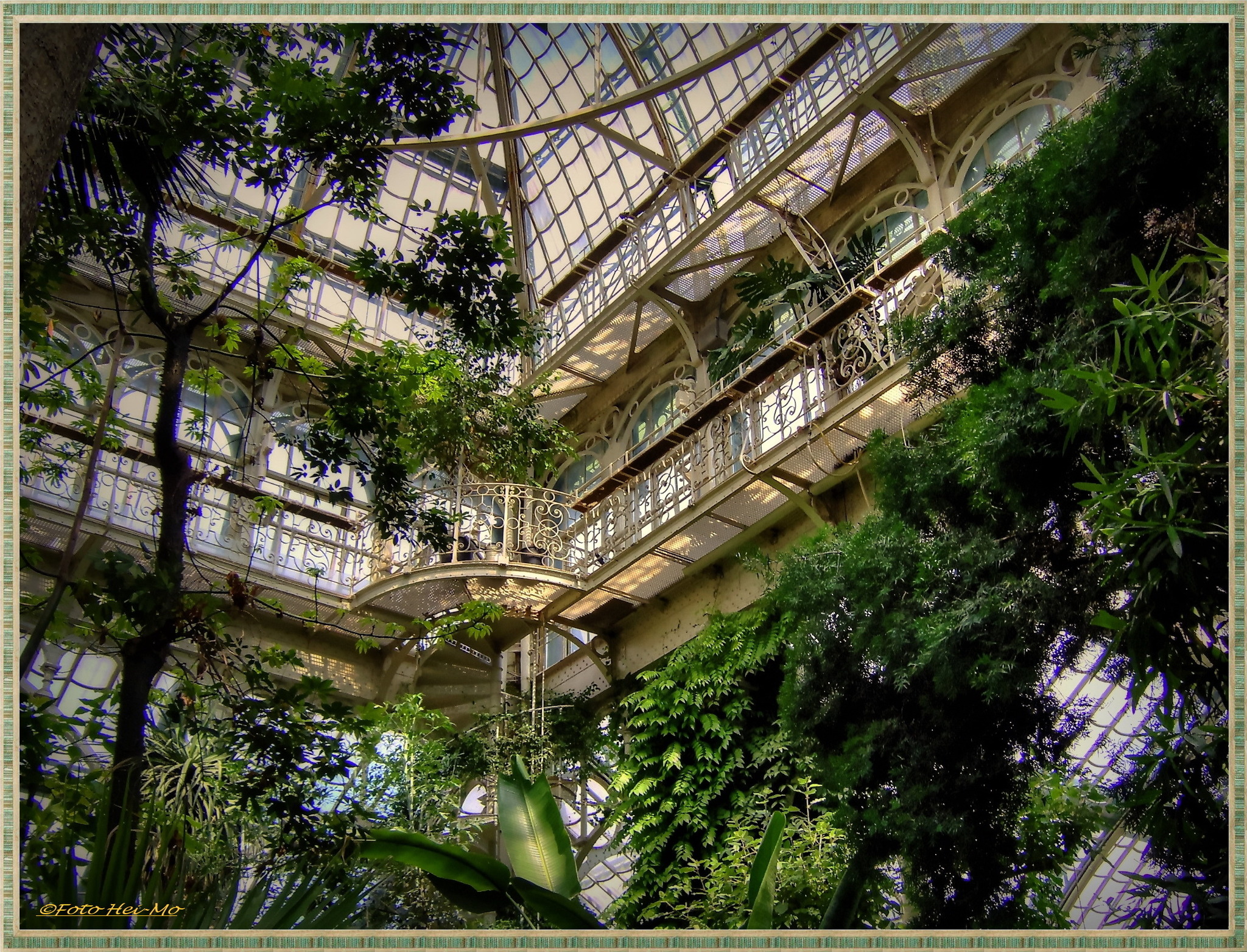 Im Palmenhaus in Schönbrunn - Hietzing