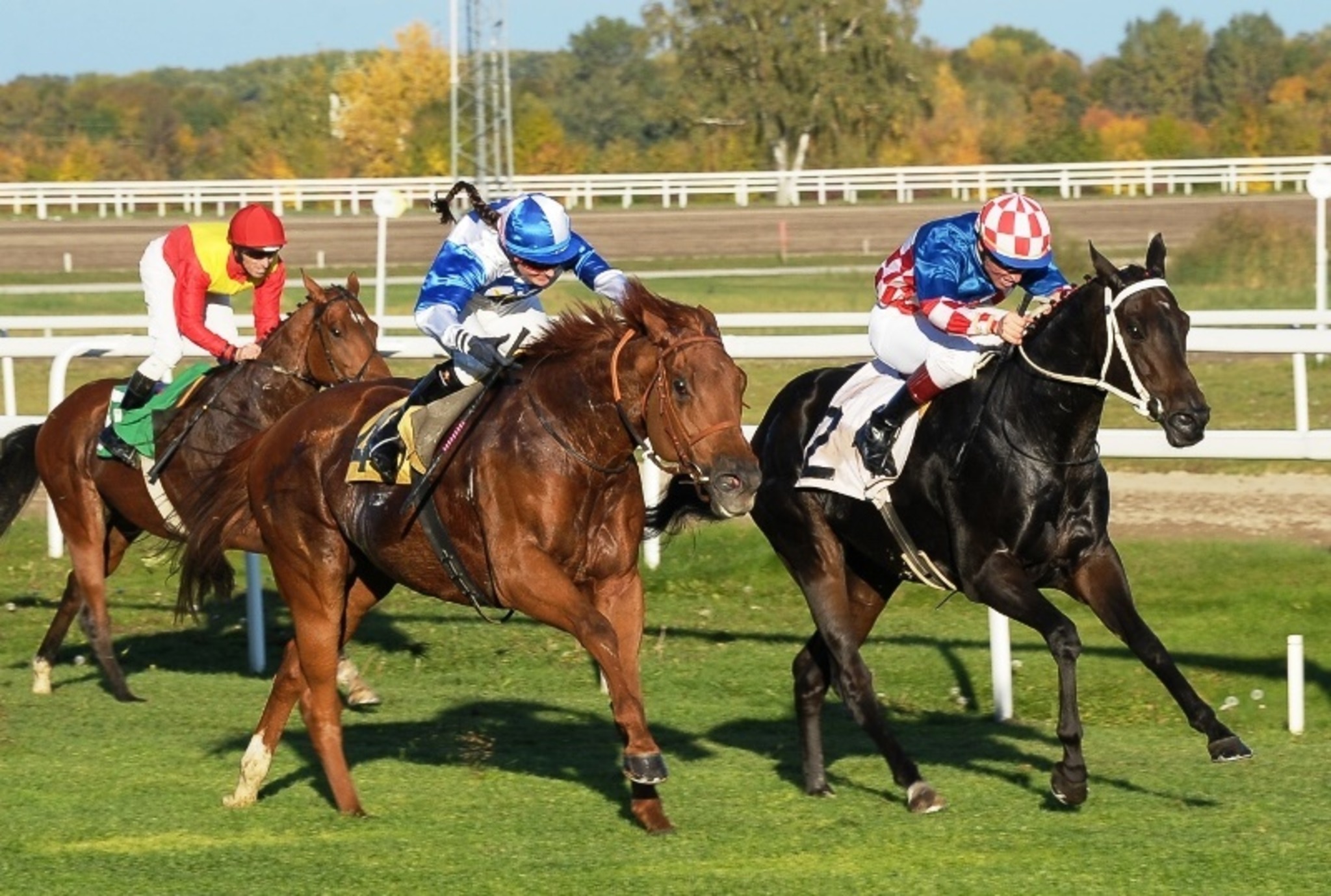MAGNA RACINO Renntag News: Krone der Zweijährigen an pfeilschnellen ...