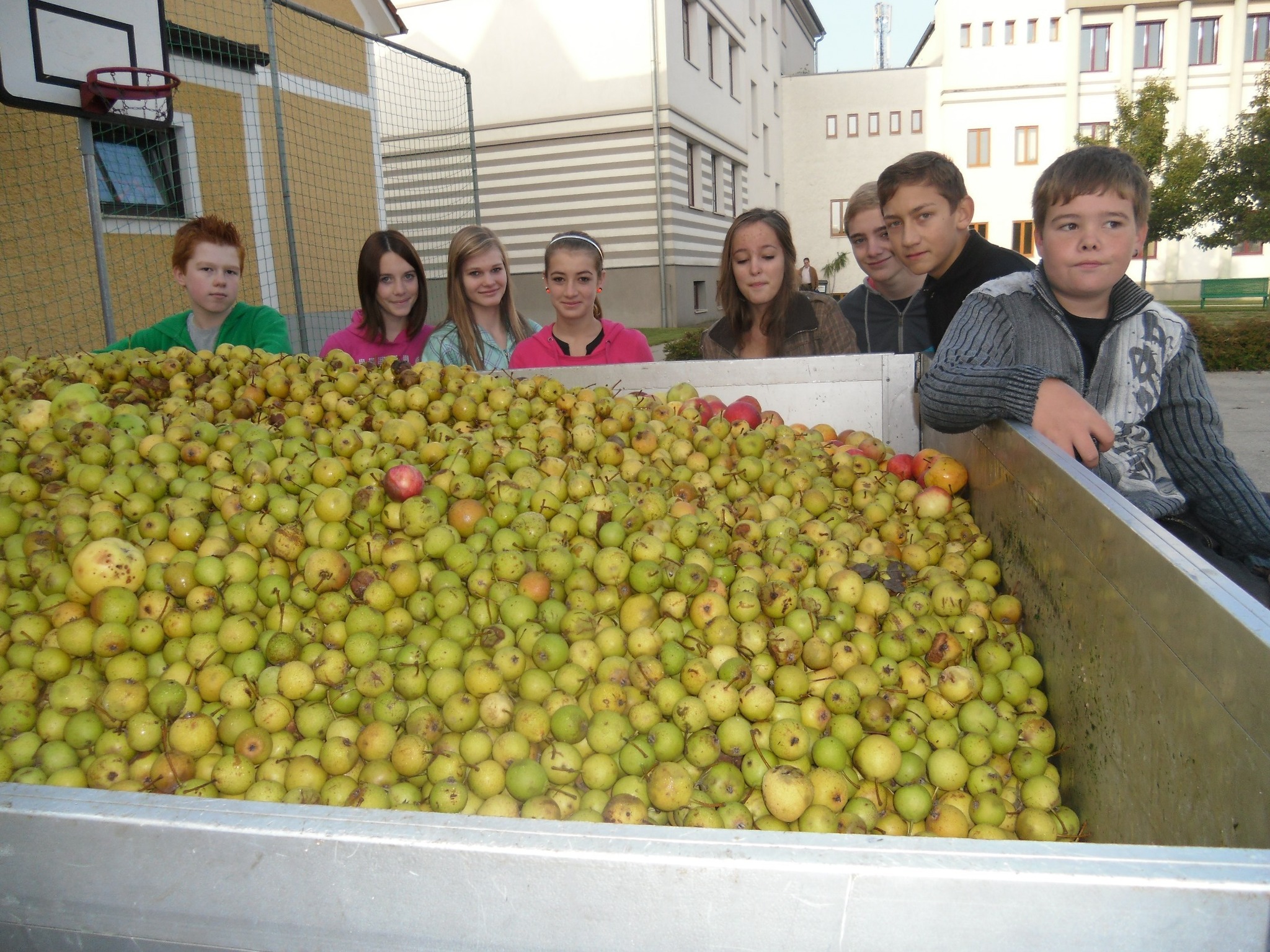 Aus eigenem Obst Saft pressen - Amstetten