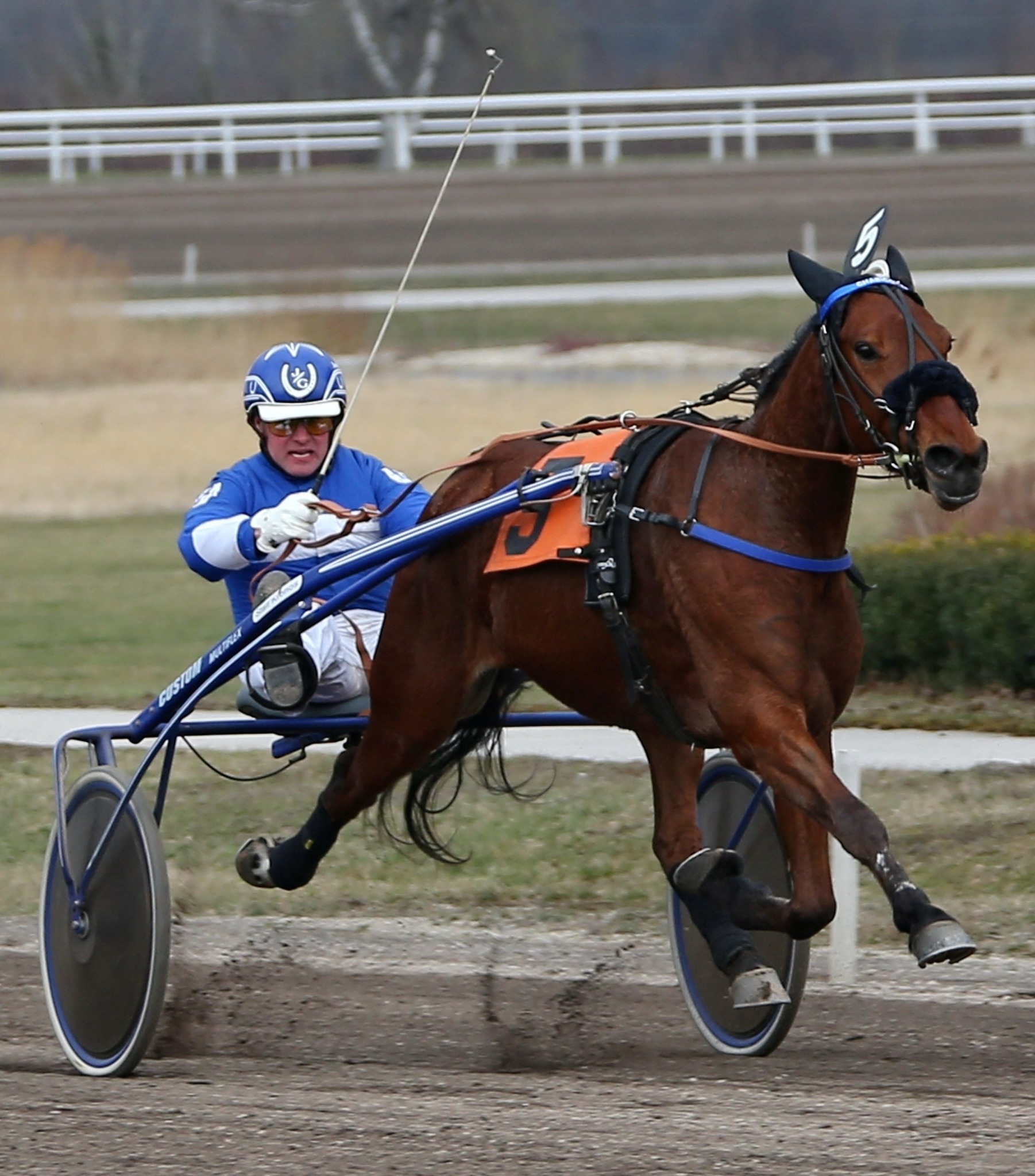 Pferdesportlicher Nationalfeiertag im MAGNA RACINO - Steinfeld