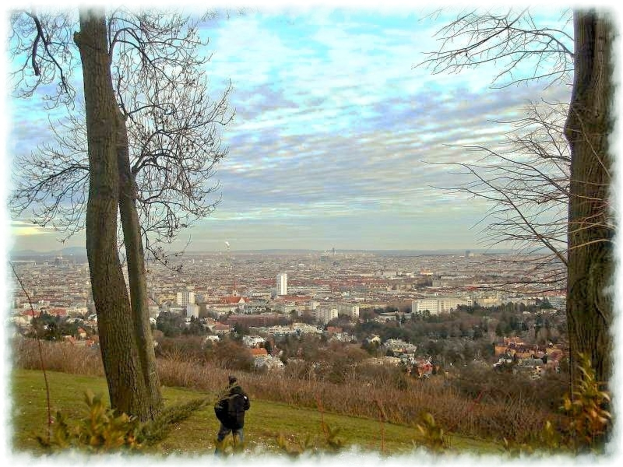 Panoramablick - Ottakring
