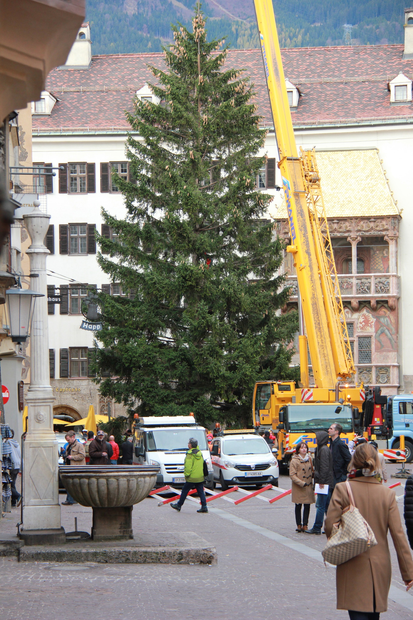 Der Christbaum in der Altstadt steht - Innsbruck