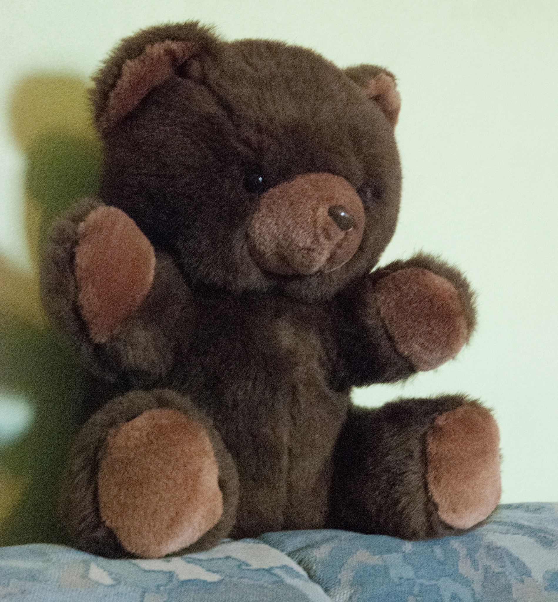 Mein kleiner brauner Teddy-bär - Floridsdorf