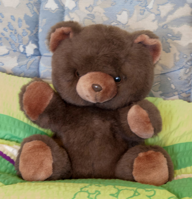 Mein kleiner brauner Teddy-bär - Floridsdorf