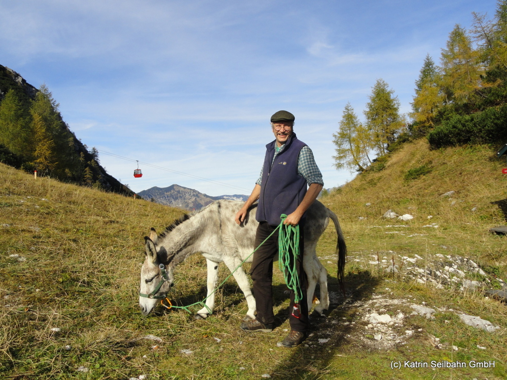 Esel-Besuch auf der Katrin - Salzkammergut
