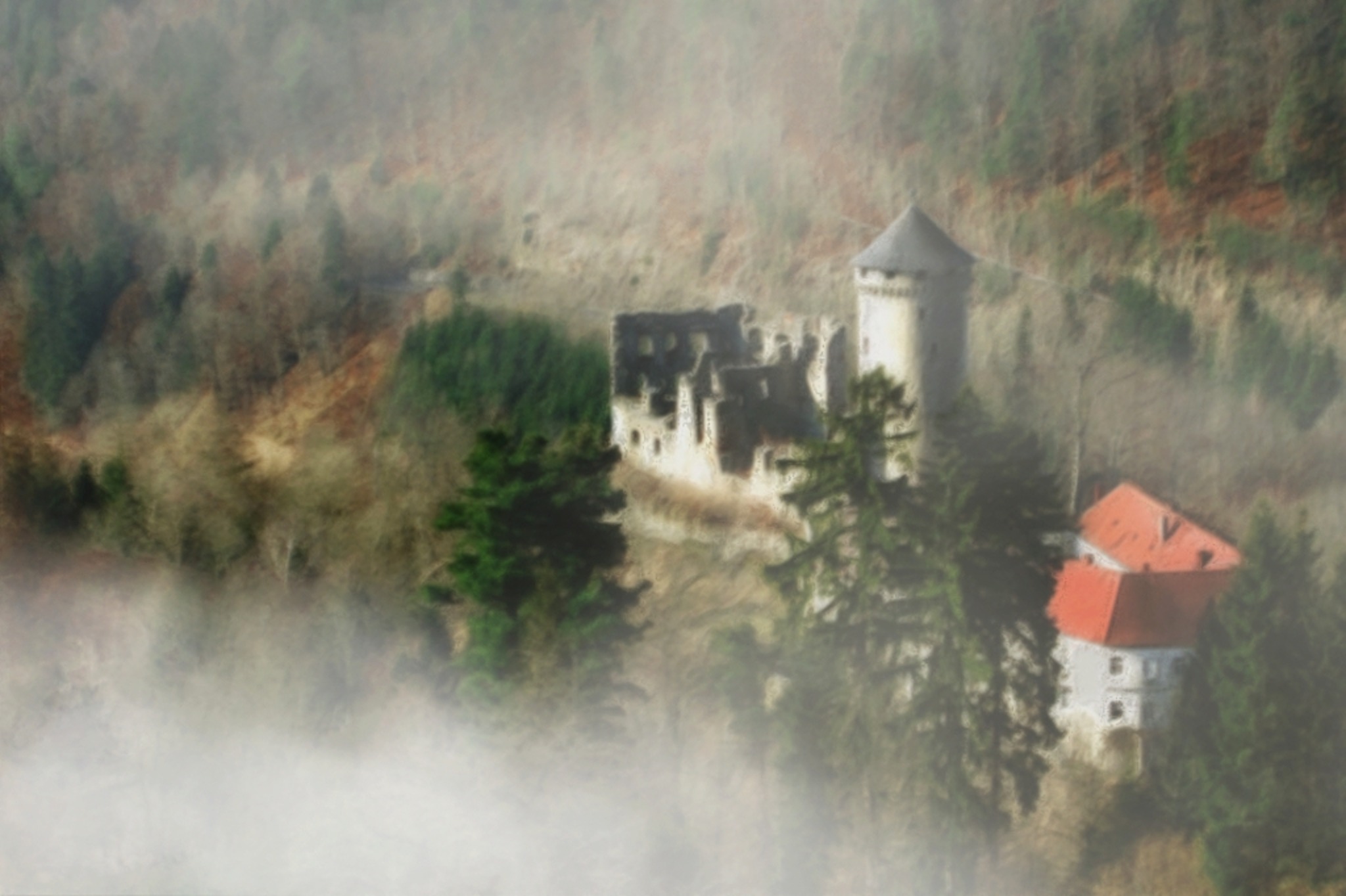 Burgruine und Schloss Wildberg - Linz