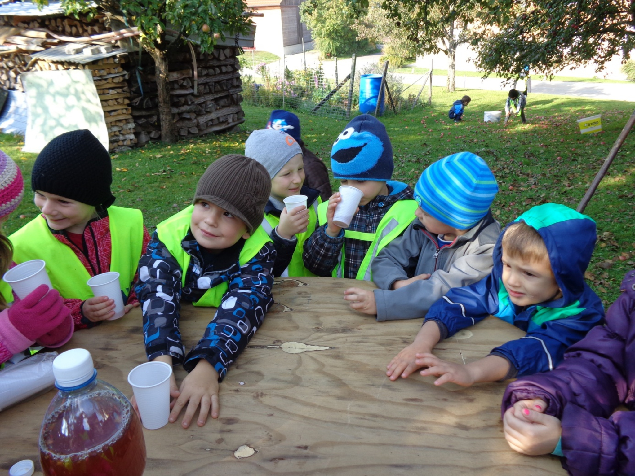 Netzwerk Gesunder Kindergarten in Ansfelden - Linz-Land