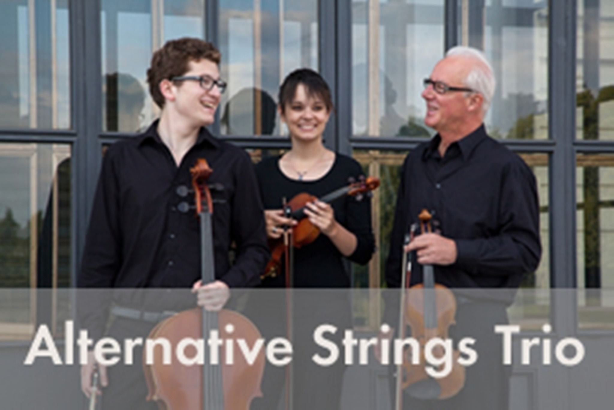 ALTERNATIVE STRINGS TRIO - Innere Stadt