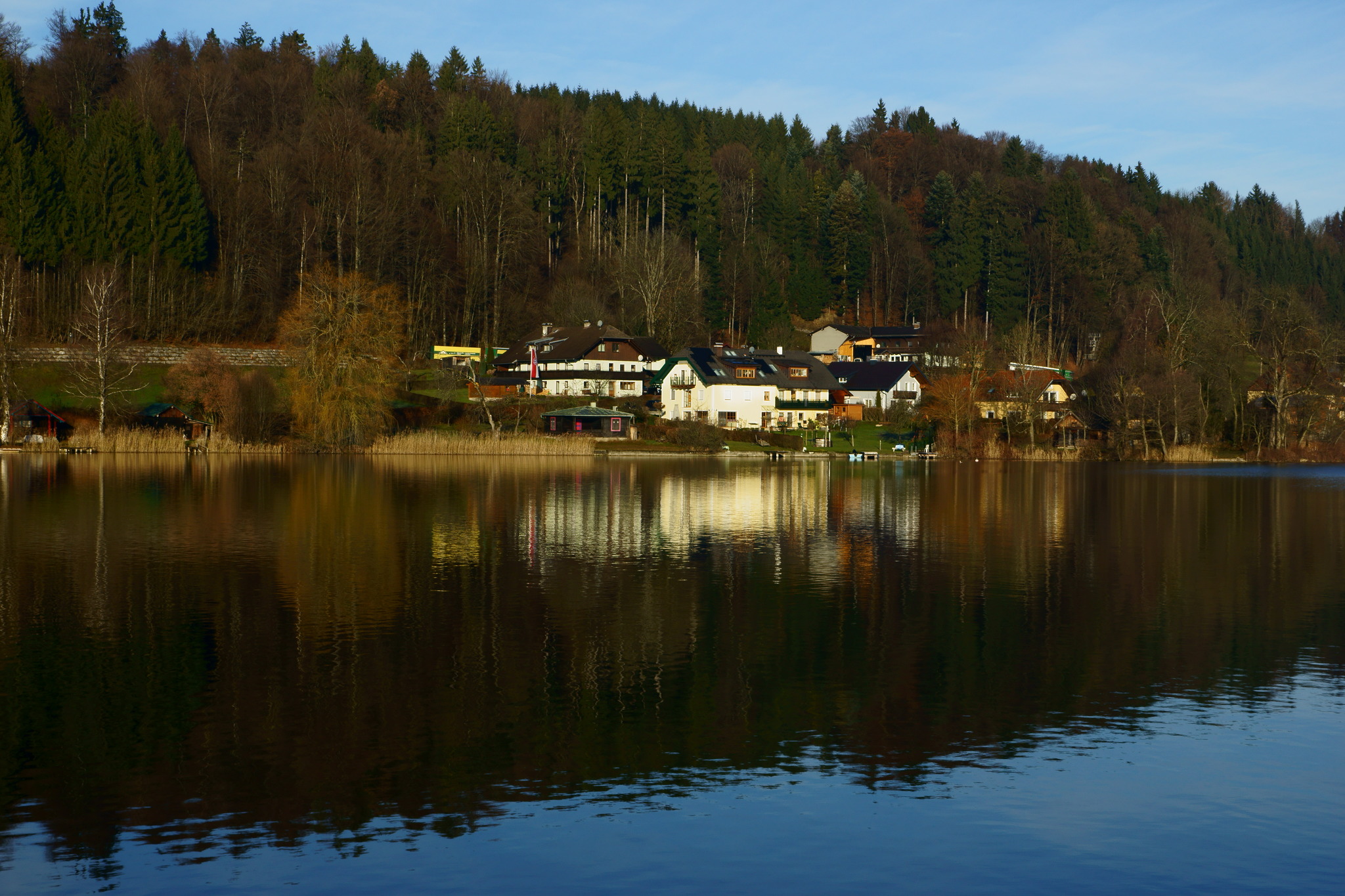 Morgens am Obertrumer See - Flachgau