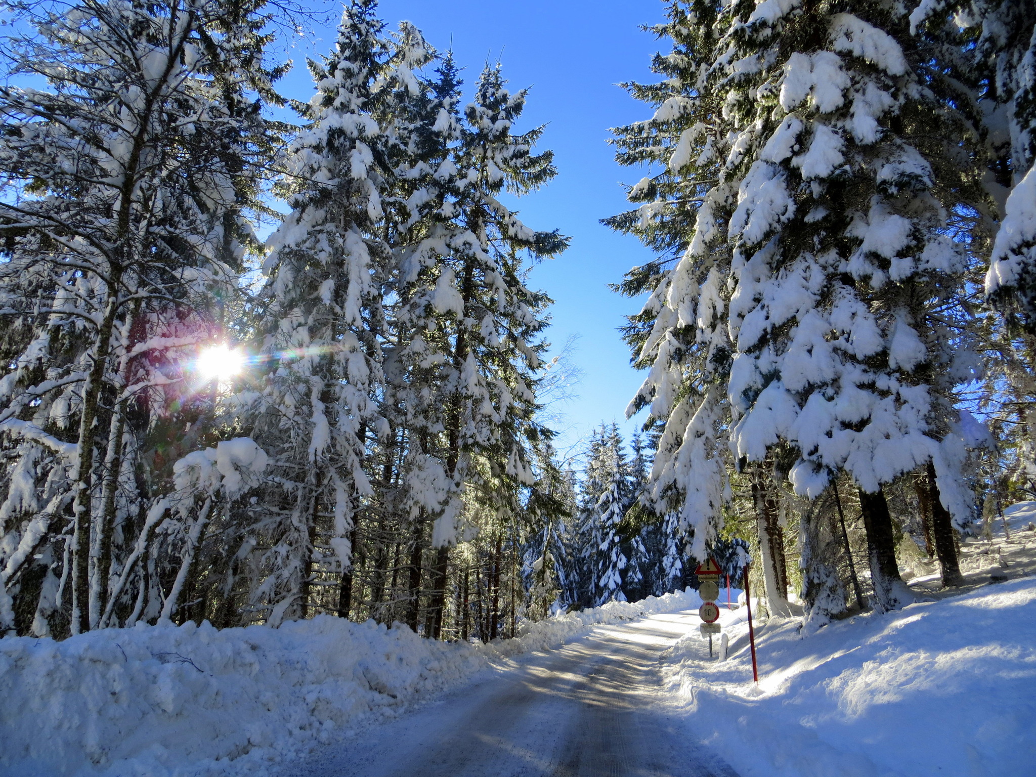Spaziergang im Neuschnee am Iselsberg - Spittal