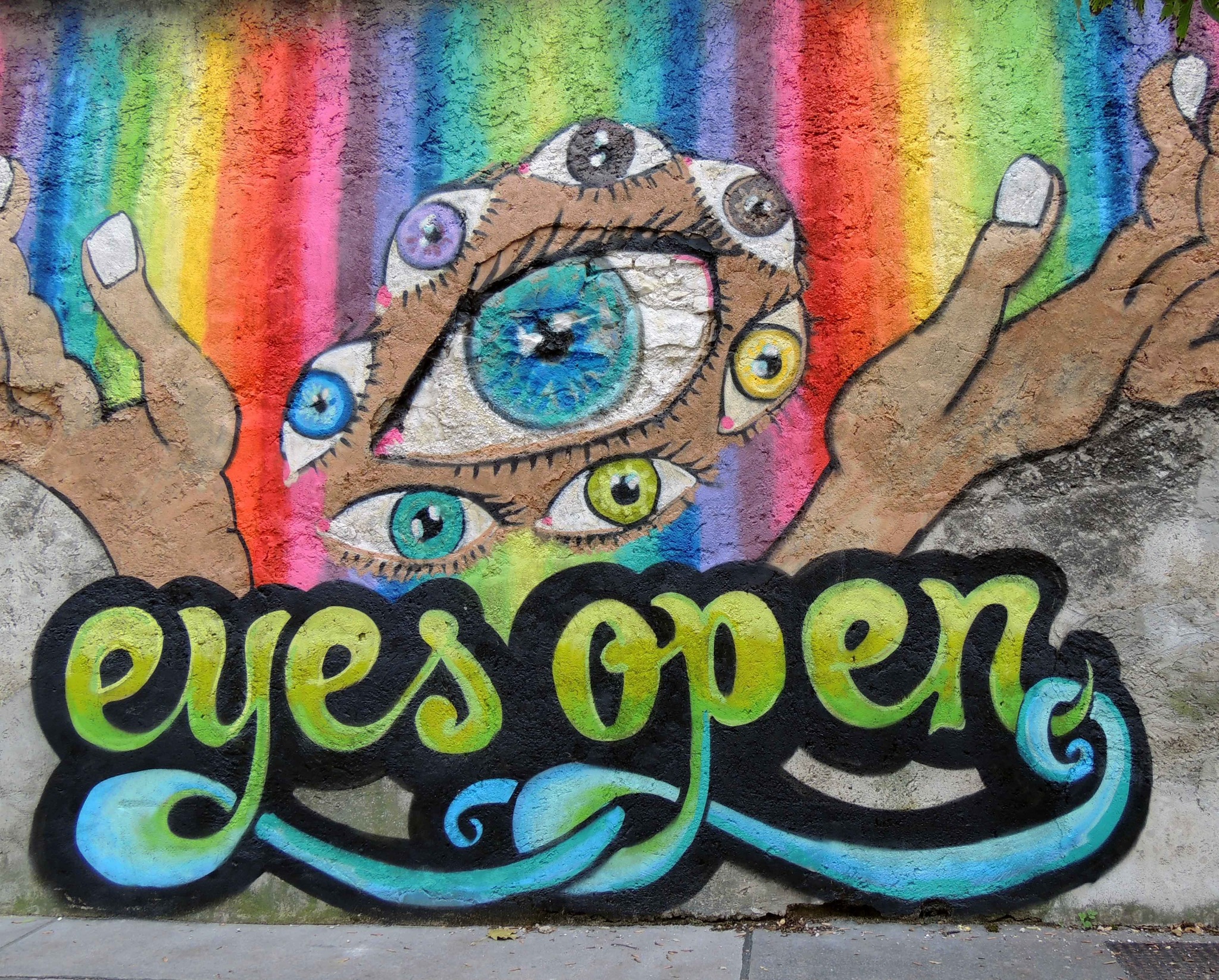 Offene Augen................................... - Favoriten