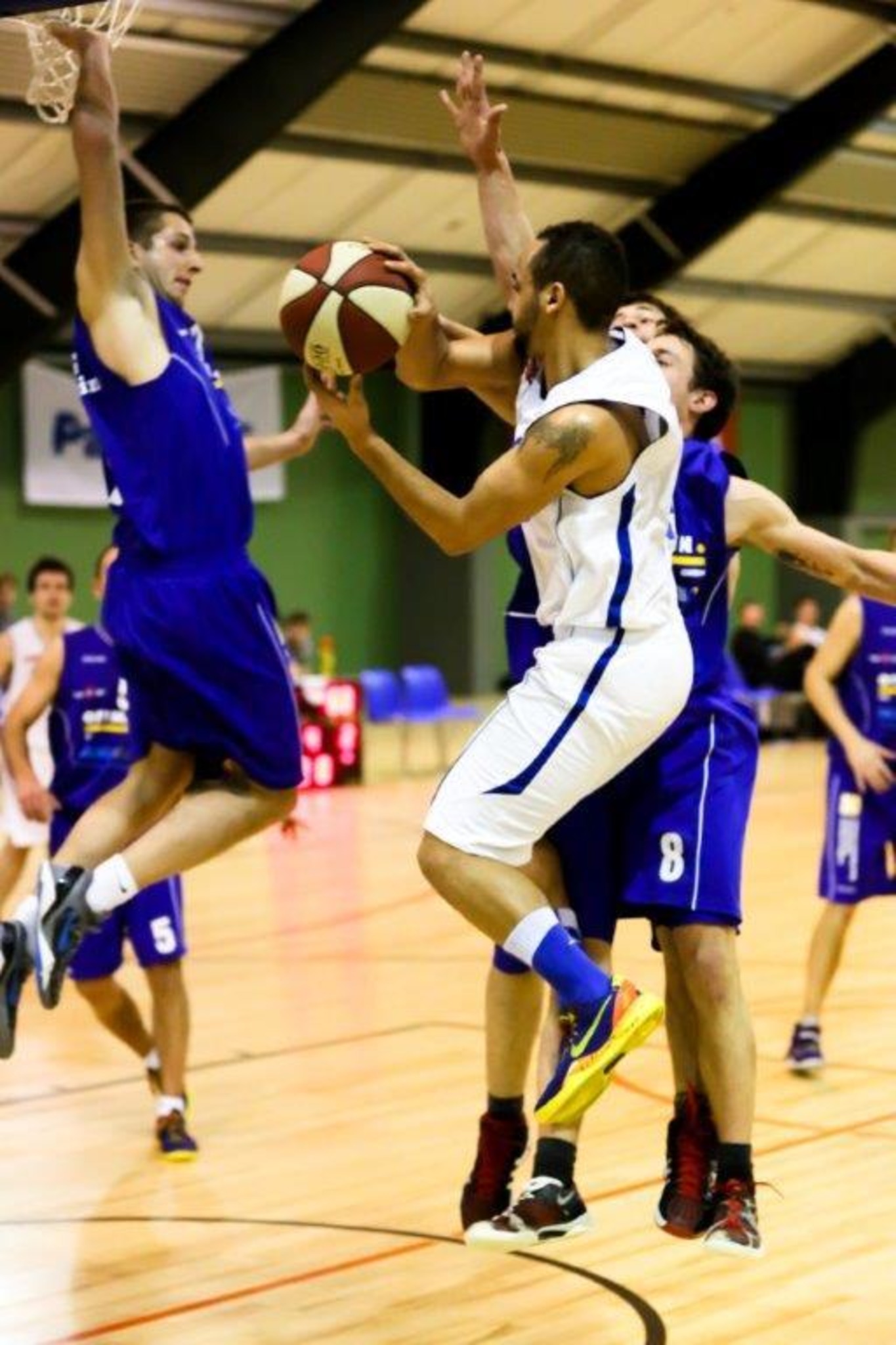 Heimsieg: Tolle Atmosphäre im Wolves Dome - Donaustadt