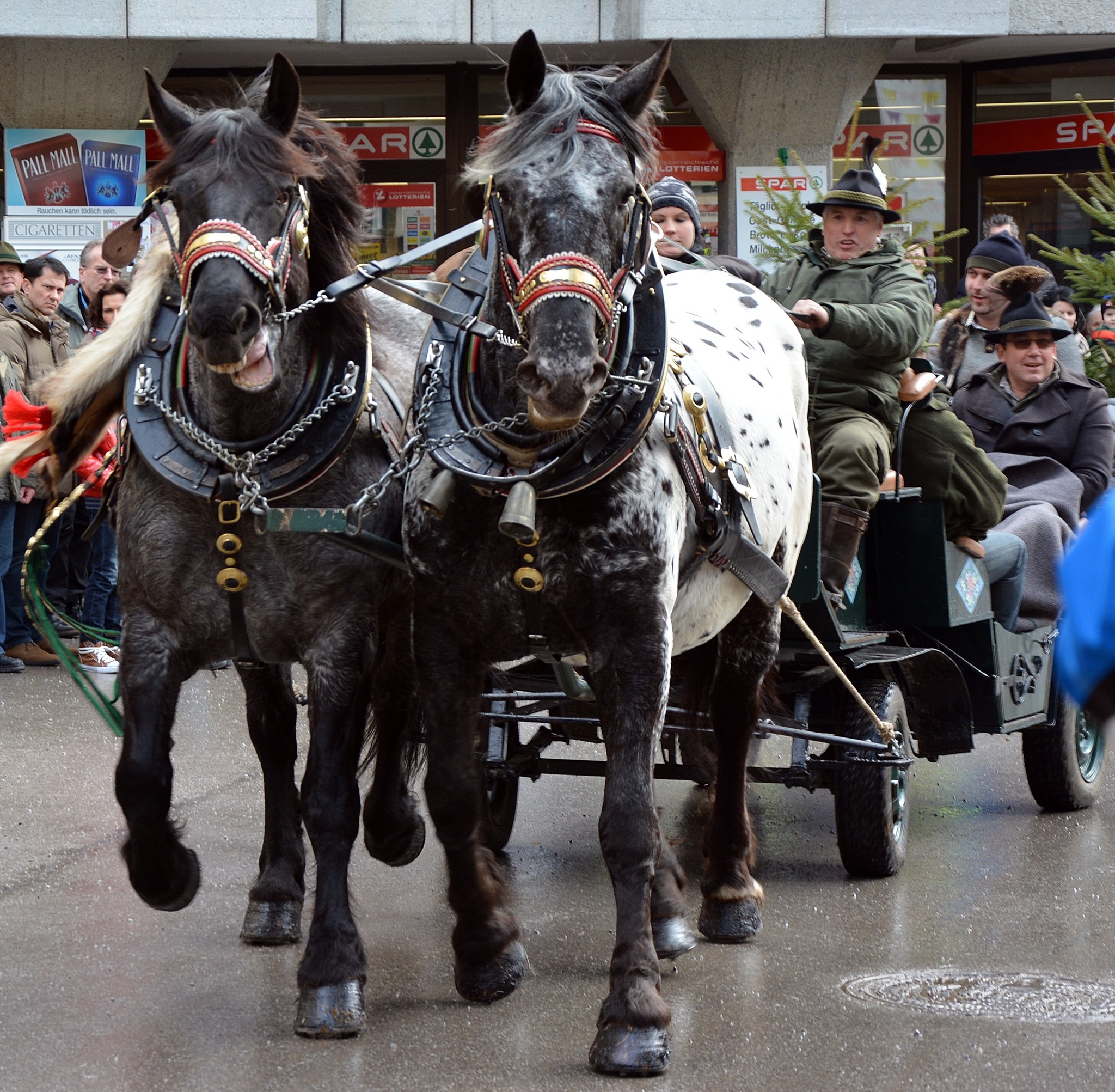 Der Brauch der traditionellen “Schlenkerfahrt” in Großarl - Pongau