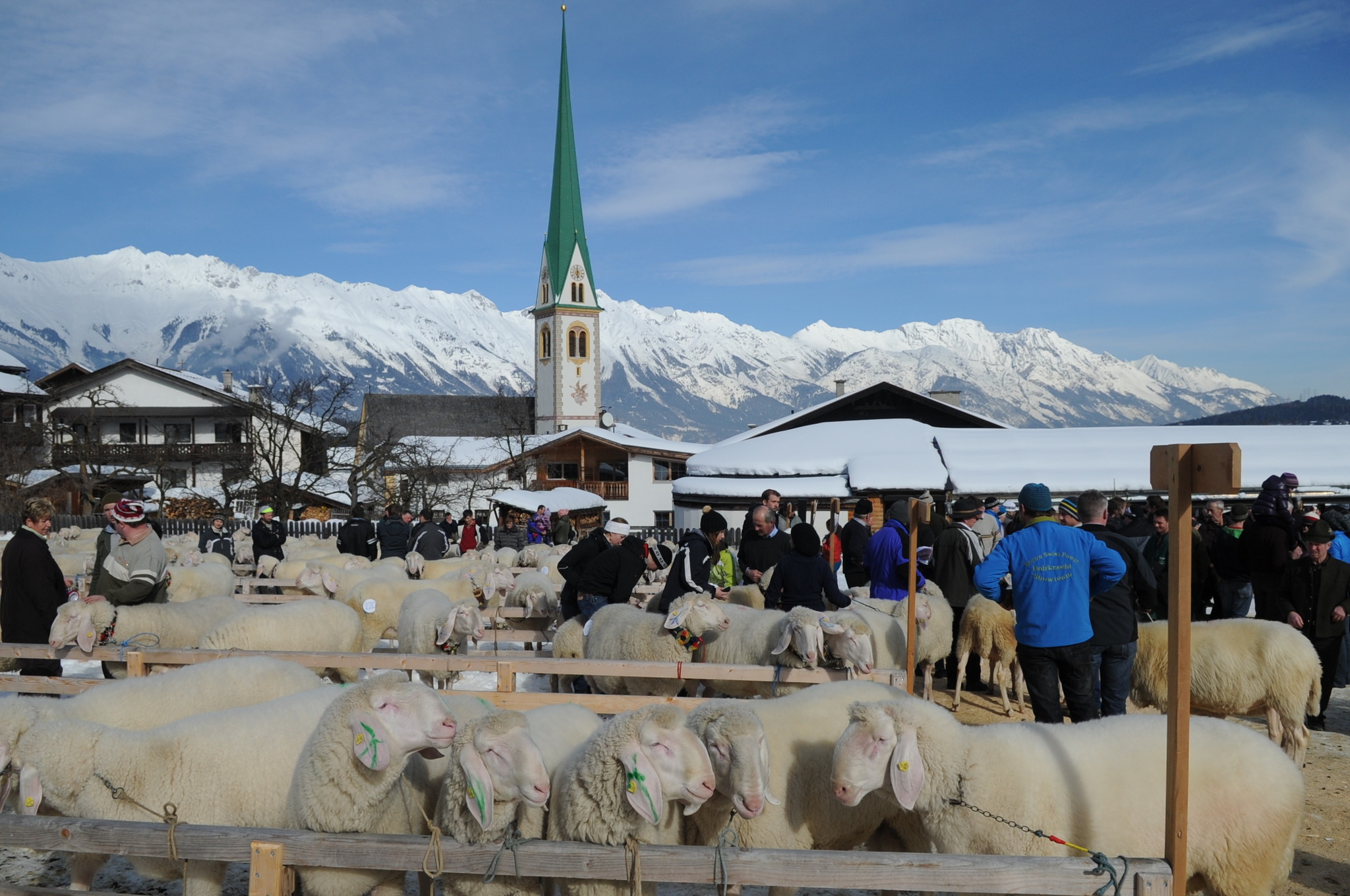 75 Jahre Schafzuchverein Sellrain - Westliches Mittelgebirge