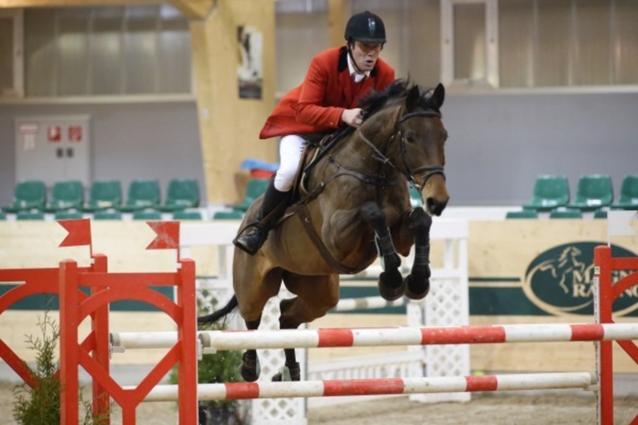 MAGNA RACINO Pferdesportnews-Springreiten: Thomas Mühlbauer dominiert ...