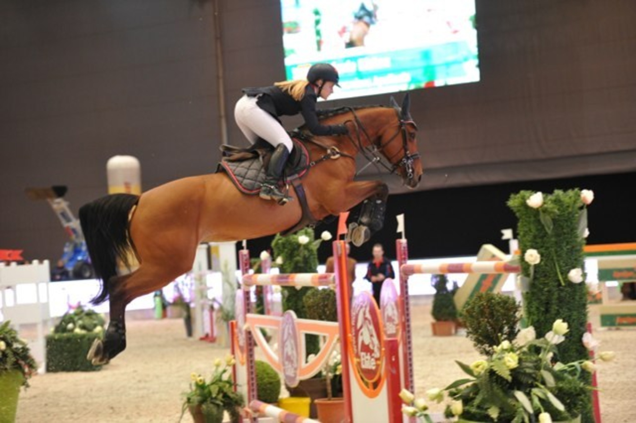 MAGNA RACINO Pferdesport News - Springreiten: Erfolgreiches Wochenende ...